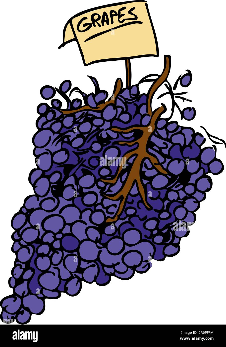 Dessin de grappe de raisin Banque d'images vectorielles - Alamy