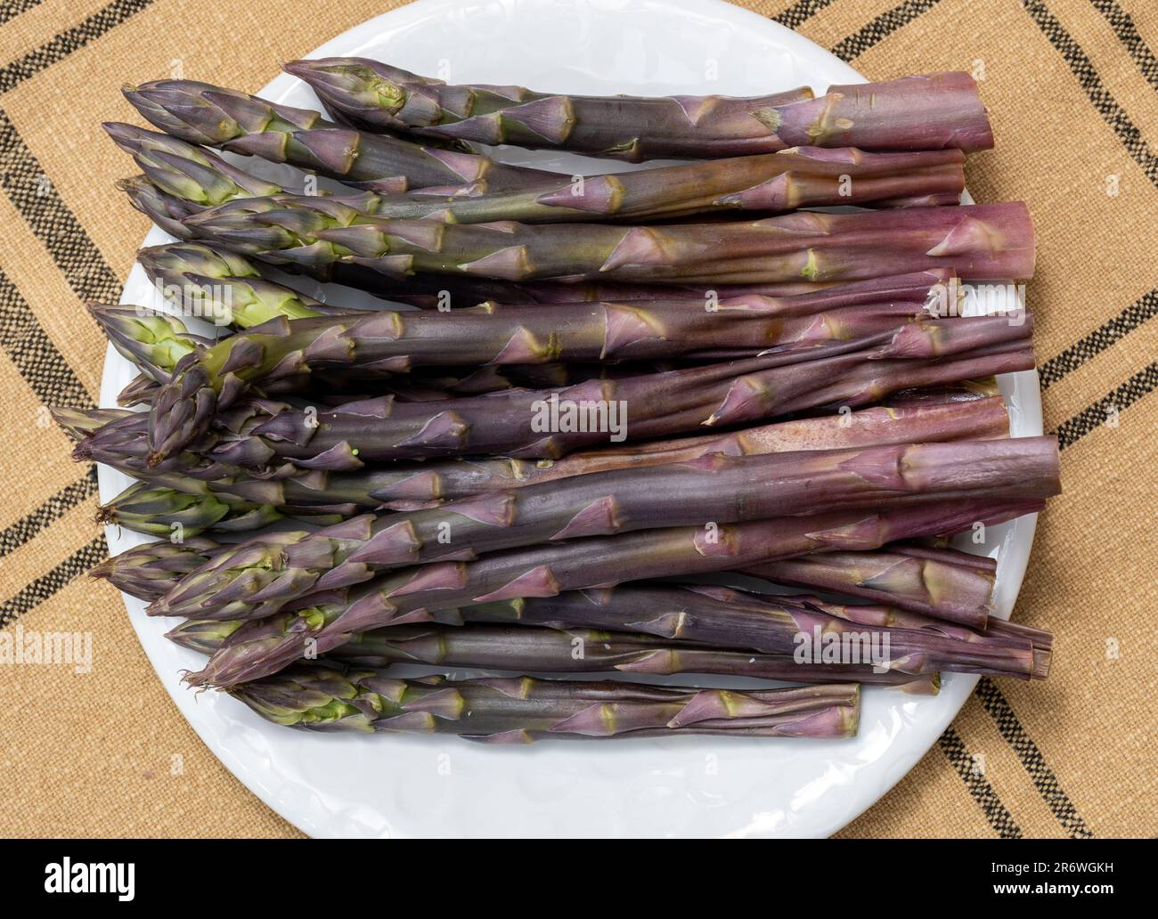 Saison de printemps, nouvelle récolte d'asperges hollandaises ...