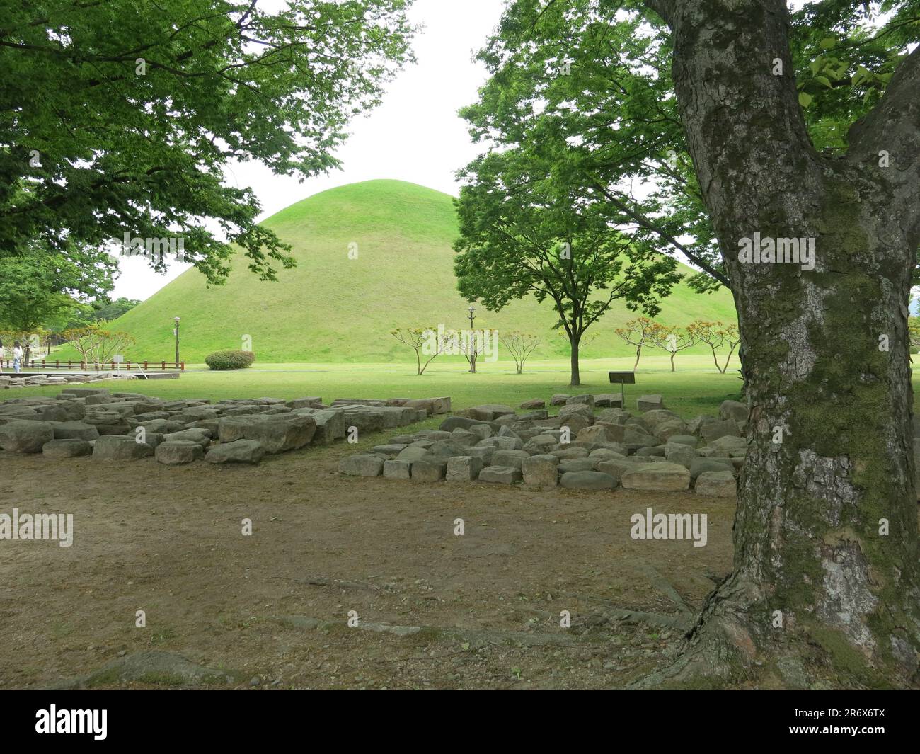 Tumuli Park, Gyeongju: Les hilares herbeuses caractéristiques qui sont ...