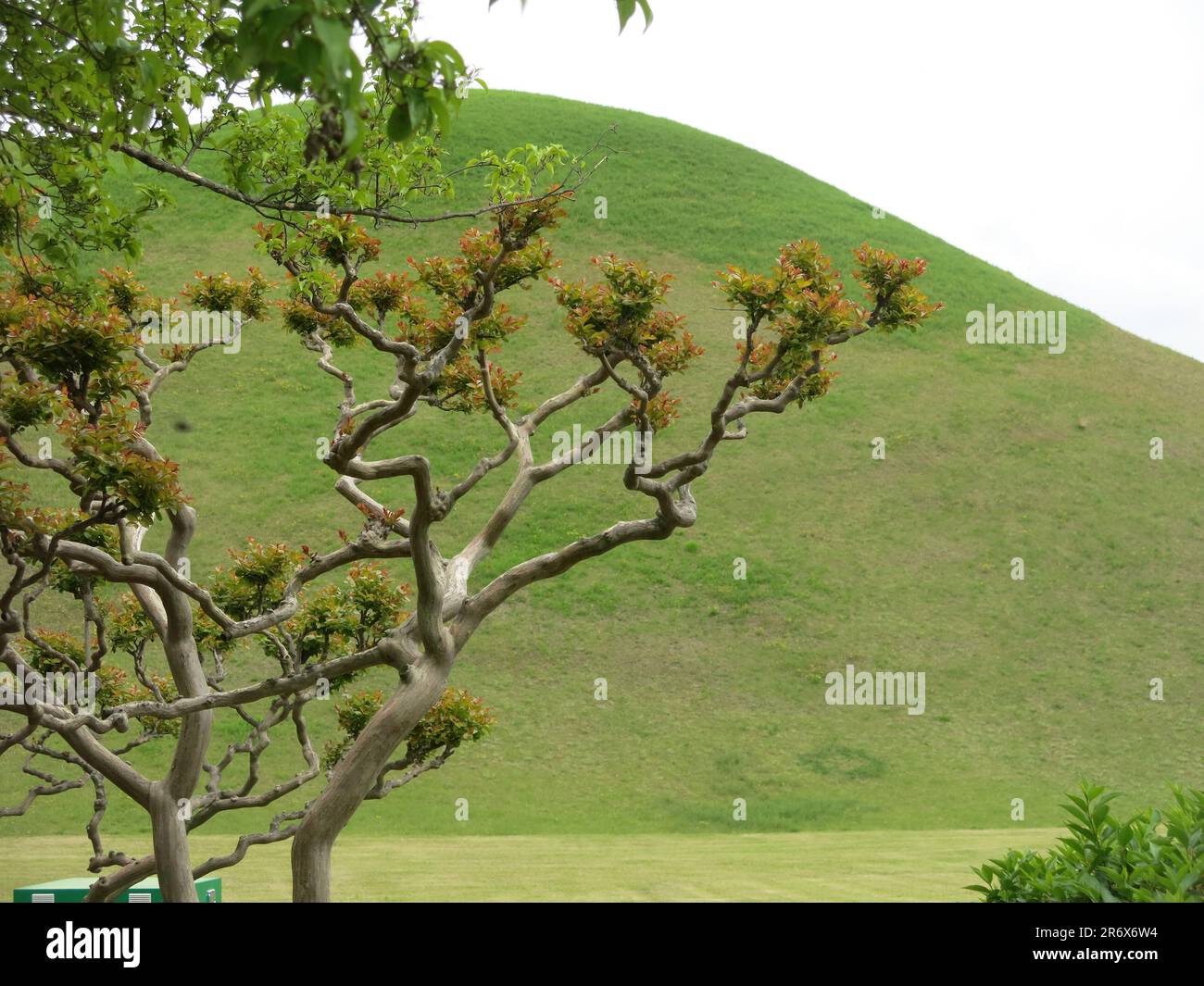 Tumuli Park, Gyeongju: Les hilares herbeuses caractéristiques qui sont ...