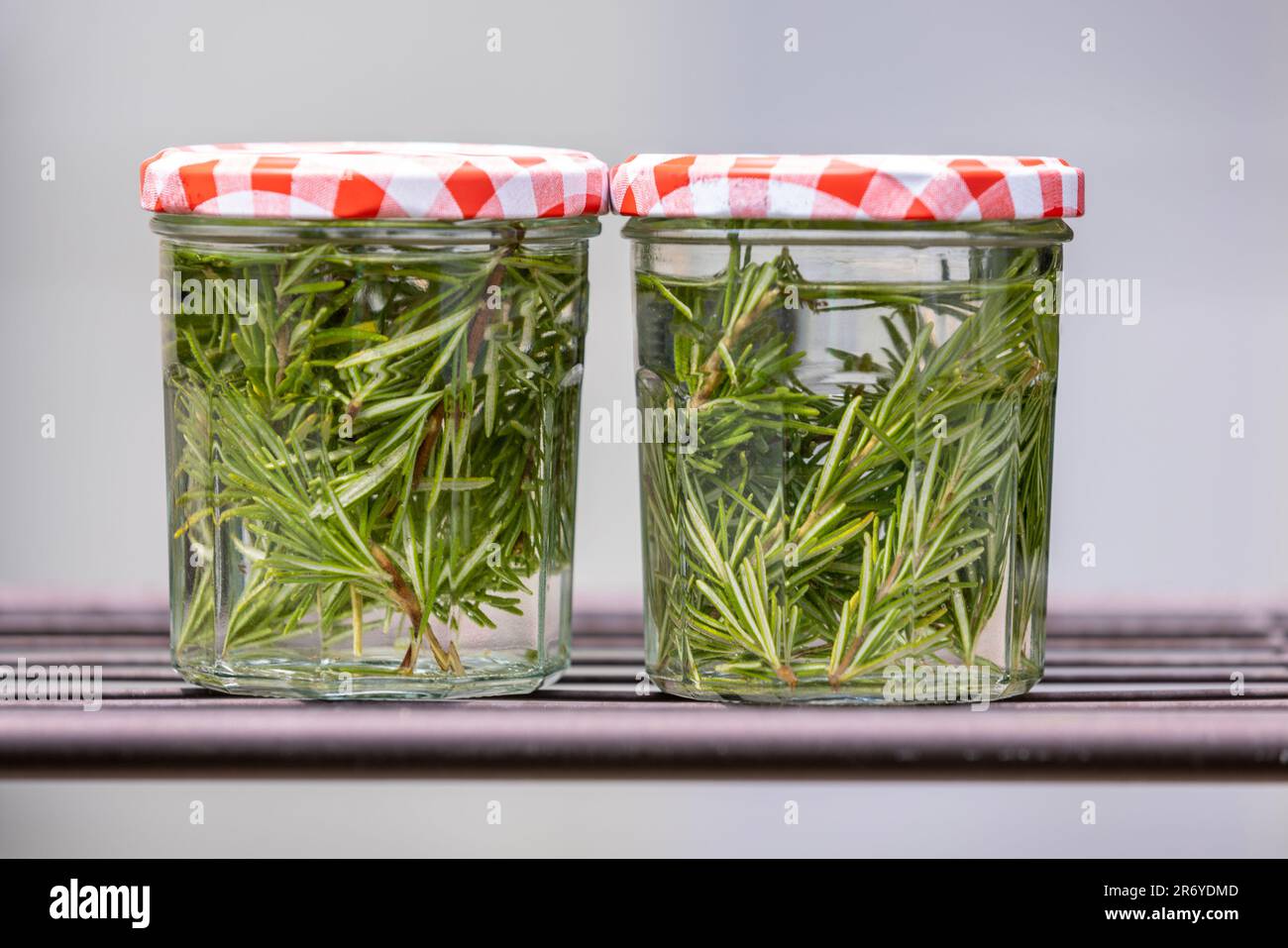 Herbe de romarin fraîche trempant dans une teinture d'alcool ...