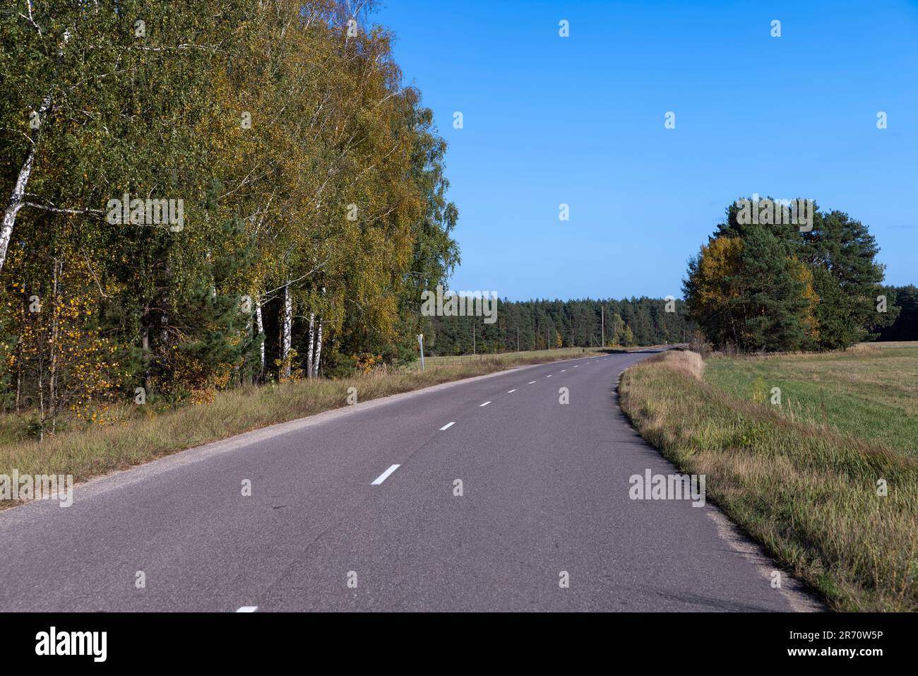 Route pavée en automne par temps ensoleillé, une route avec des arbres ...
