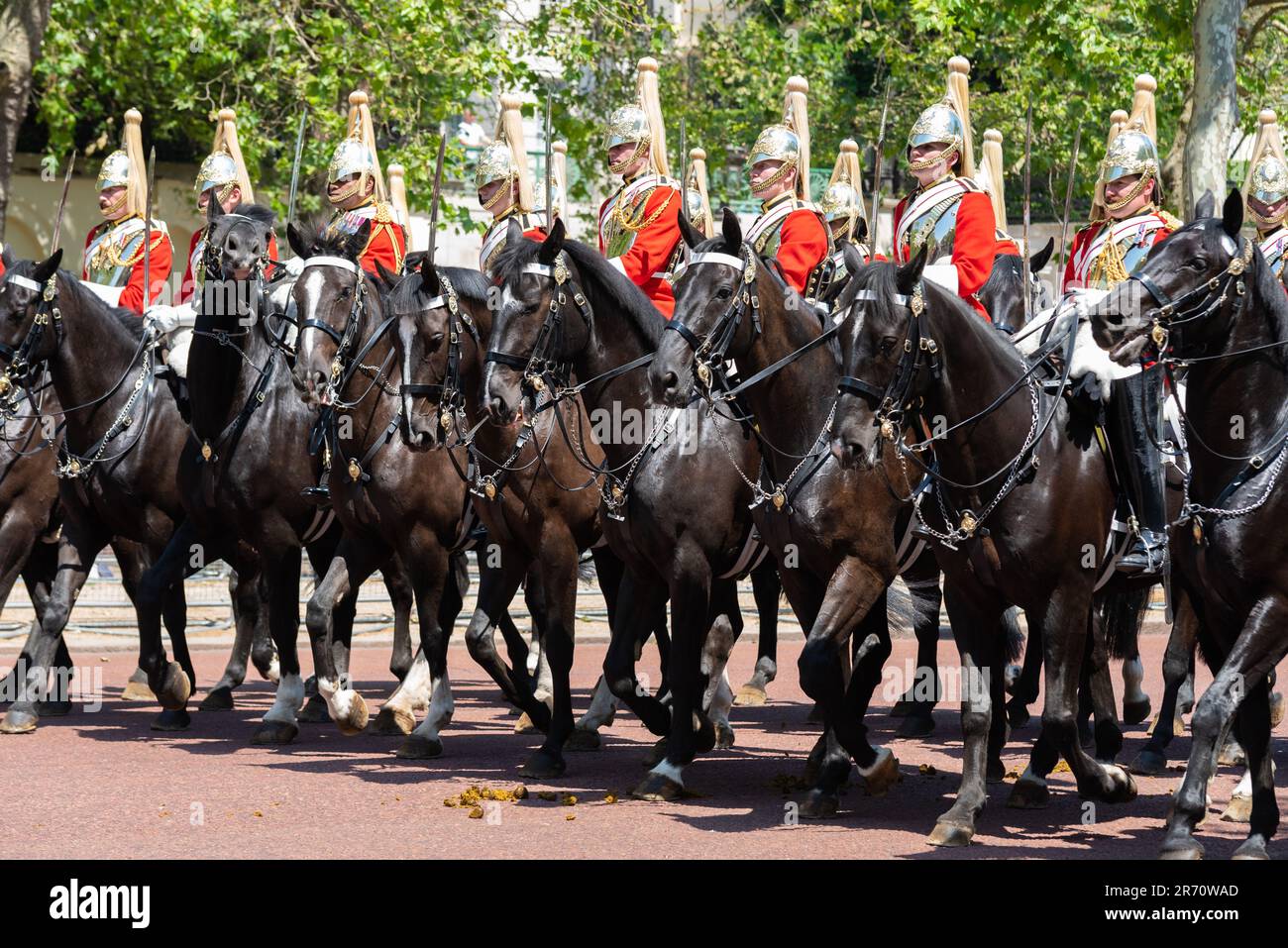 L'examen par le colonel de Trooping The Color est une évaluation finale ...