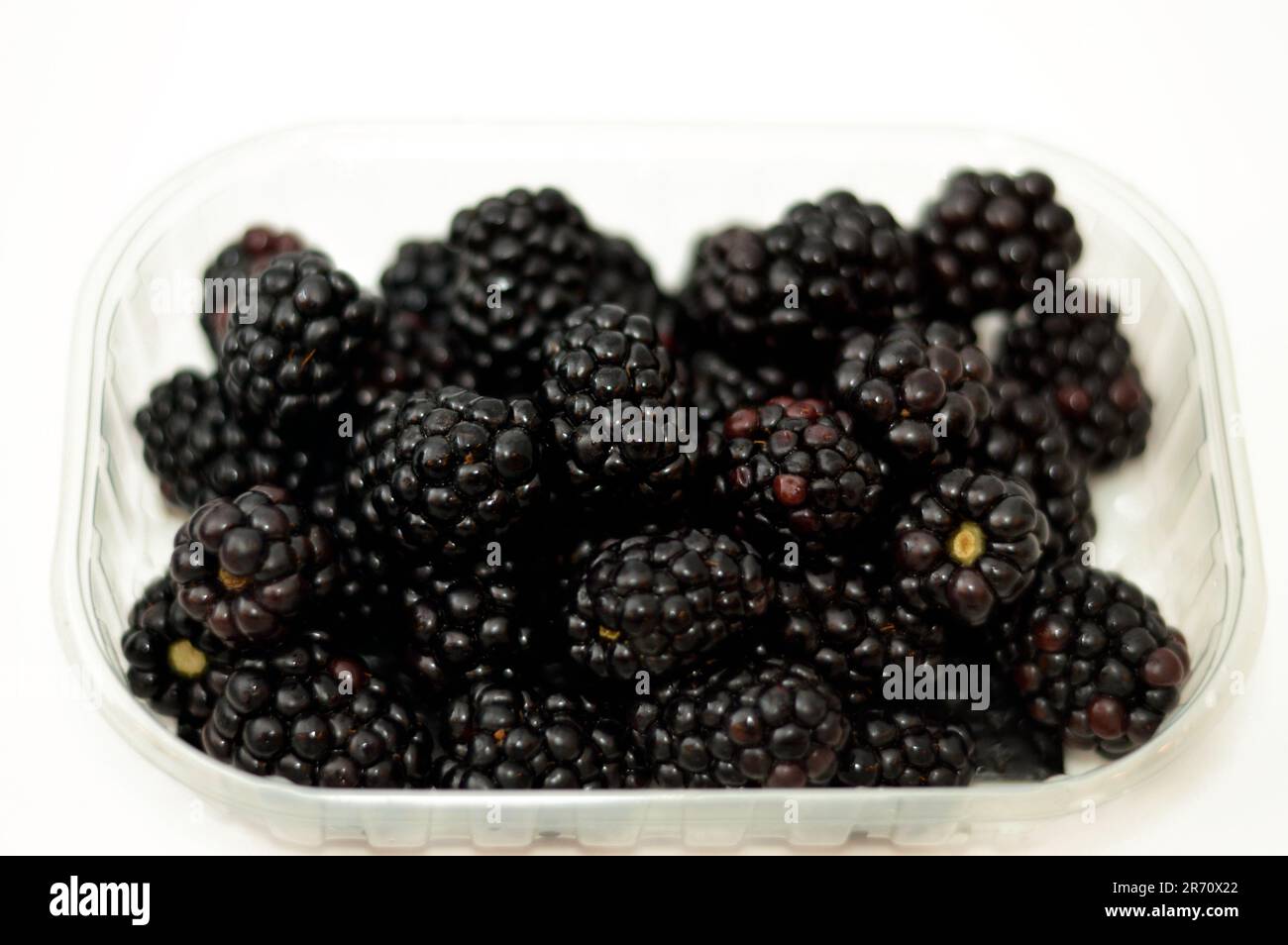 Genus rubus Banque de photographies et d’images à haute résolution - Alamy
