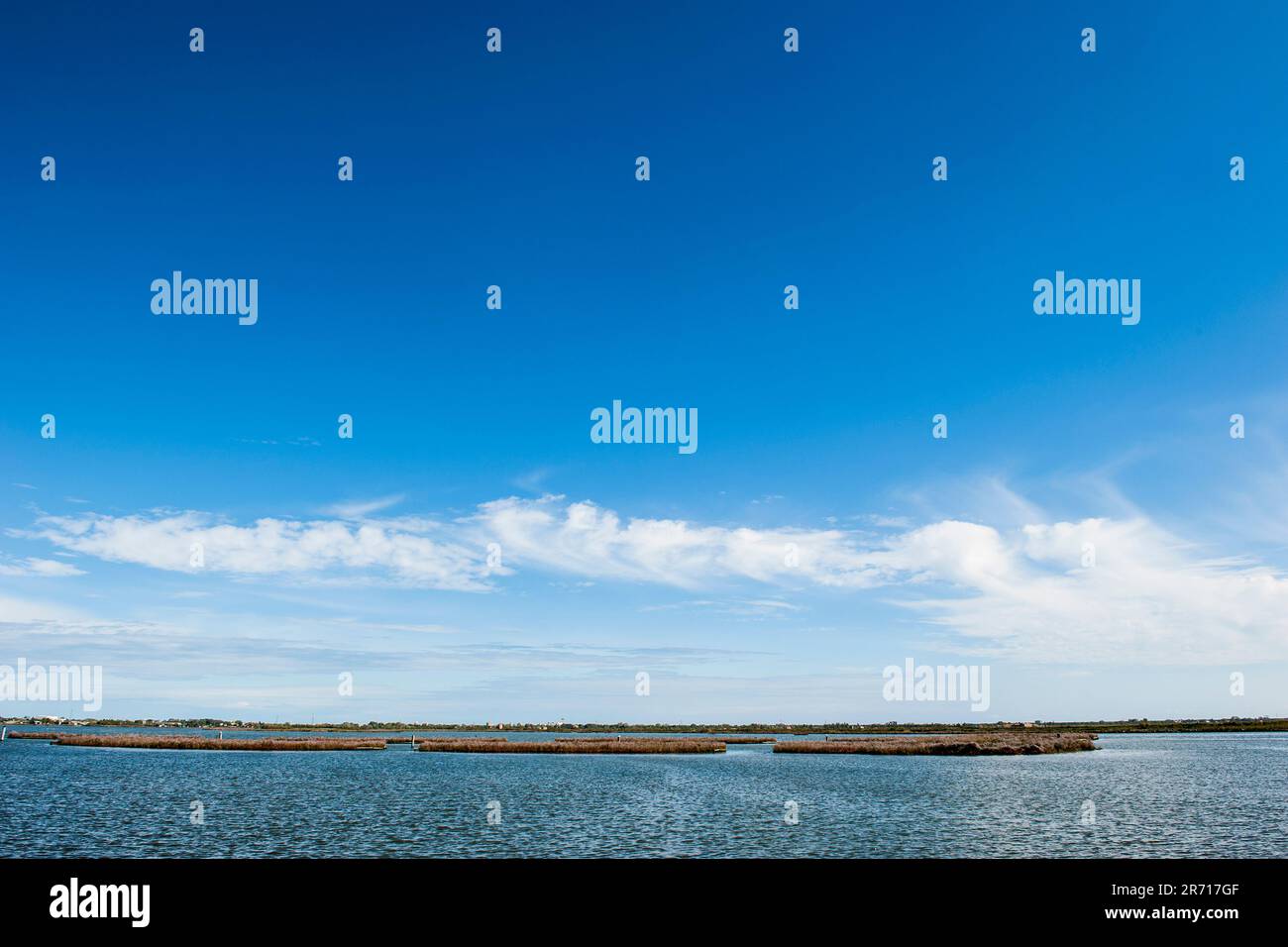 Parco nazionale delta del po Banque de photographies et d’images à ...