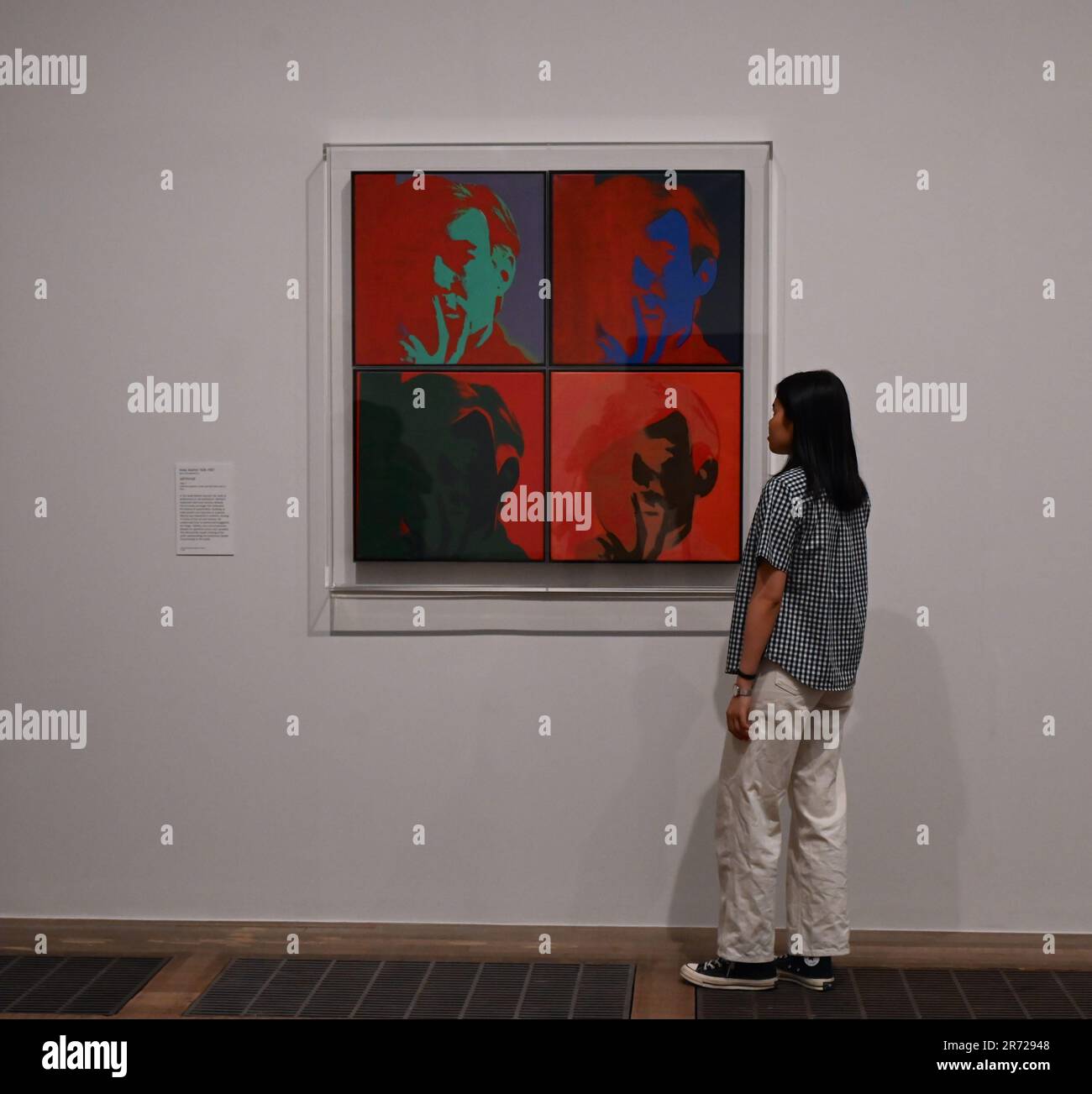 La capture de l'instant commence par quelques-uns des peintres ...