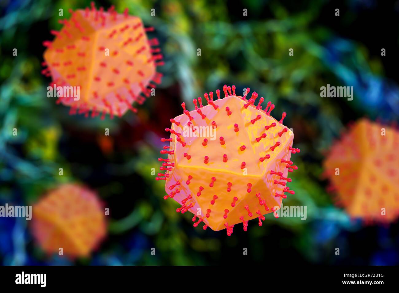 Virus de la peste porcine africaine, illustration. Ce virus fait partie ...