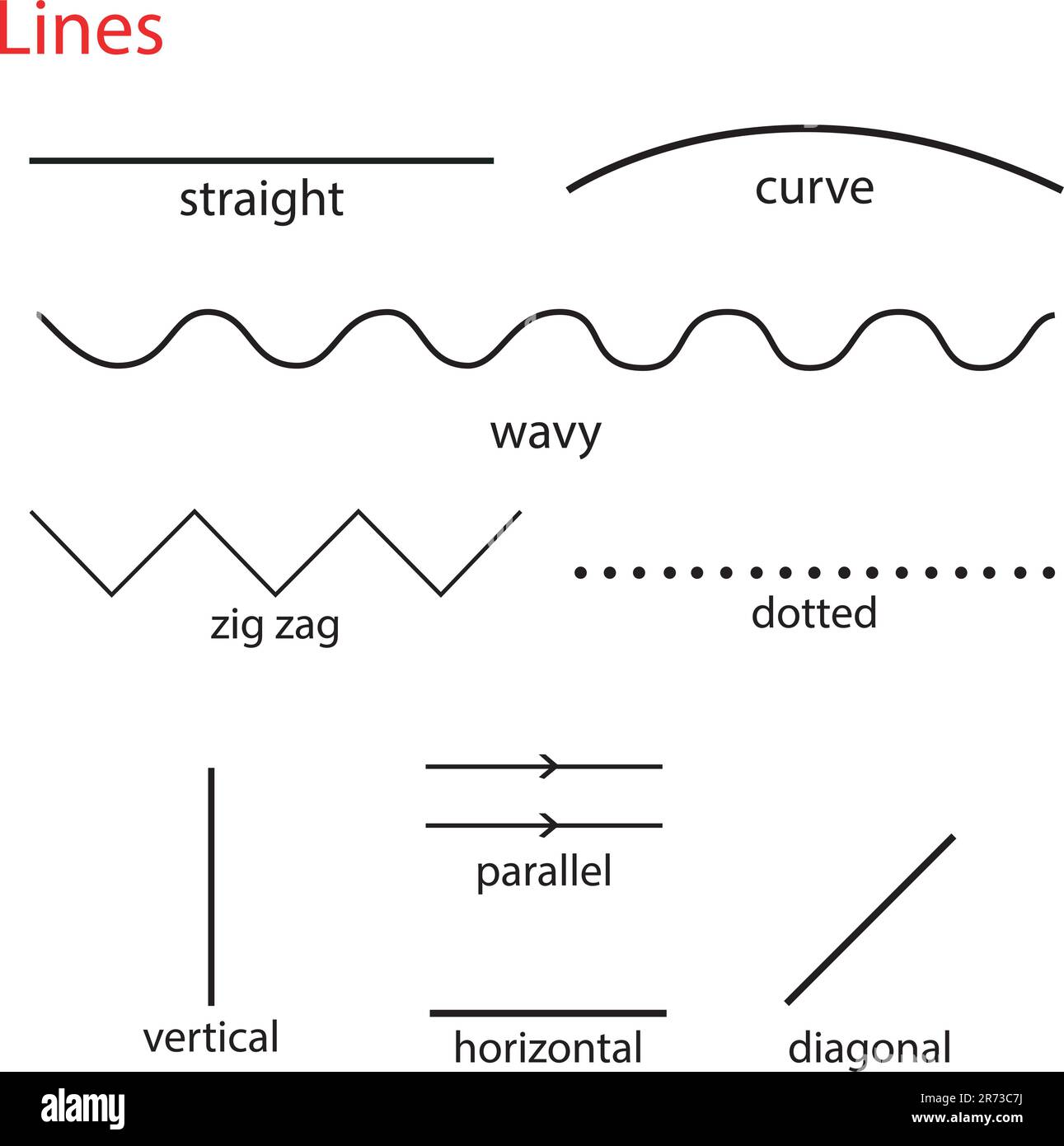 TOUS LES TYPES DE LIGNES DANS LA GÉOMÉTRIE DROITE, PARALLÈLE, COURBE ...