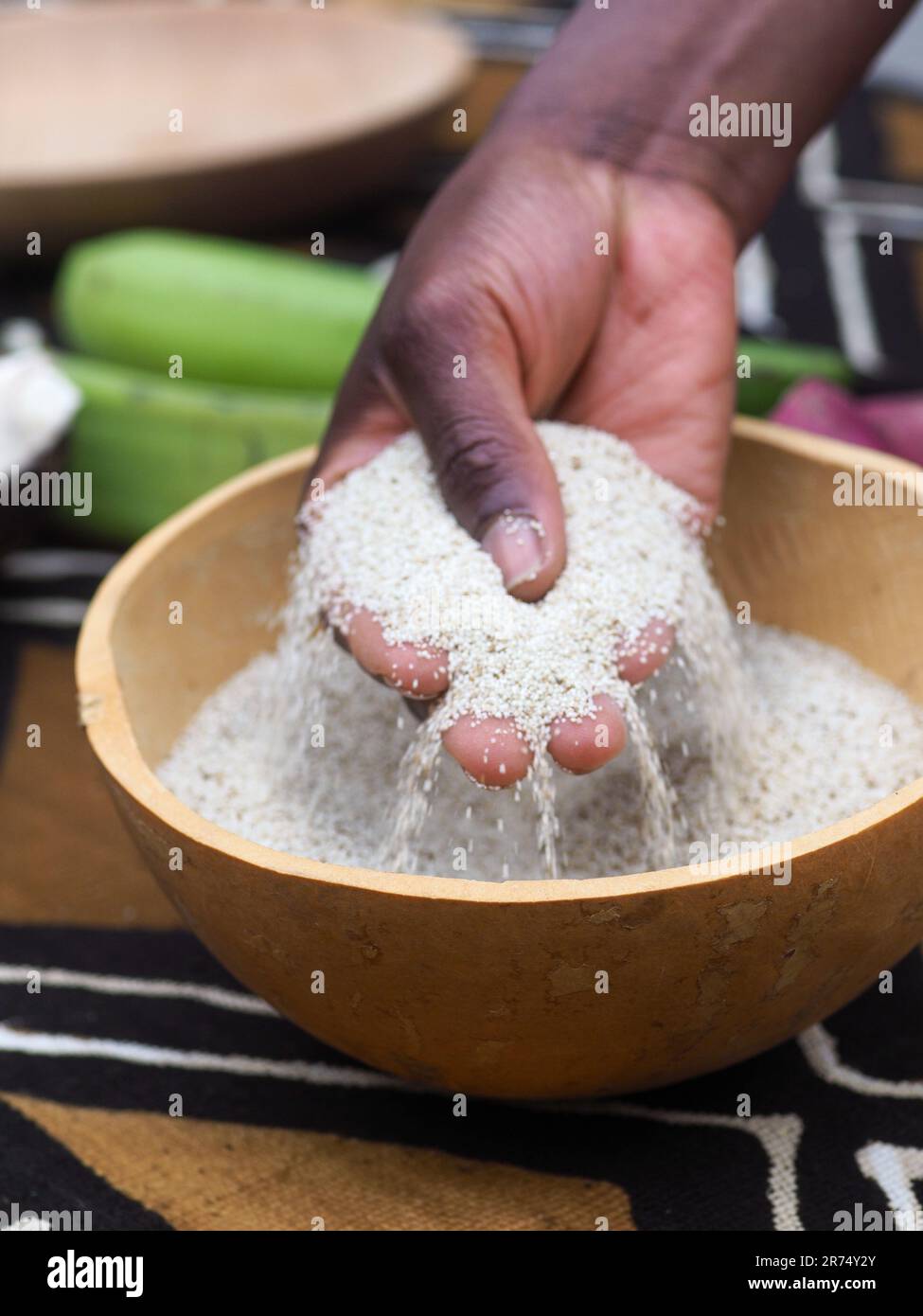 Grain de teff d'Afrique, farine alternative sans gluten pour la cuisson ...