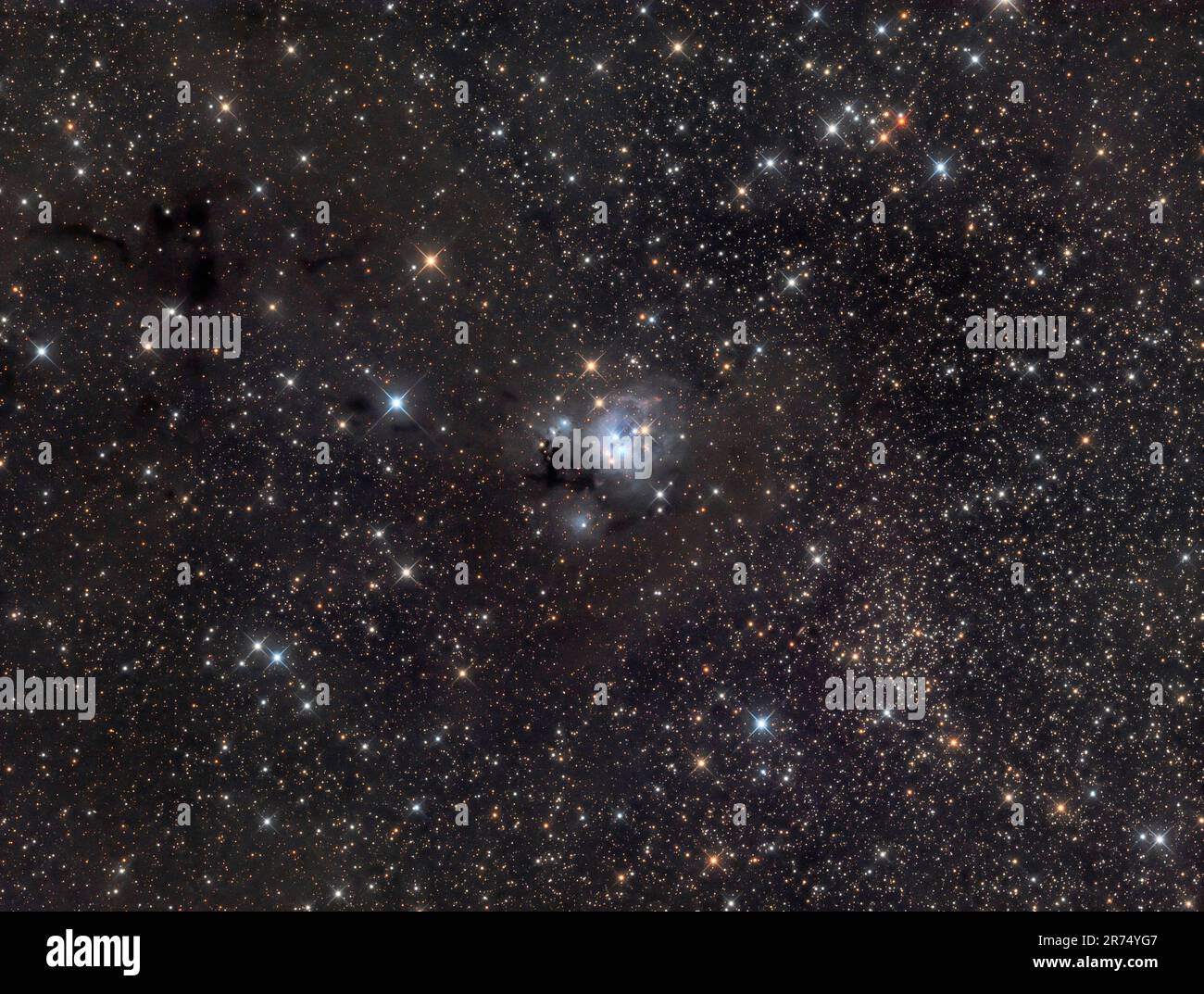 Le NGC 7129 est une nébuleuse de réflexion dans la constellation de Céphée, dans le ciel étoilé ...