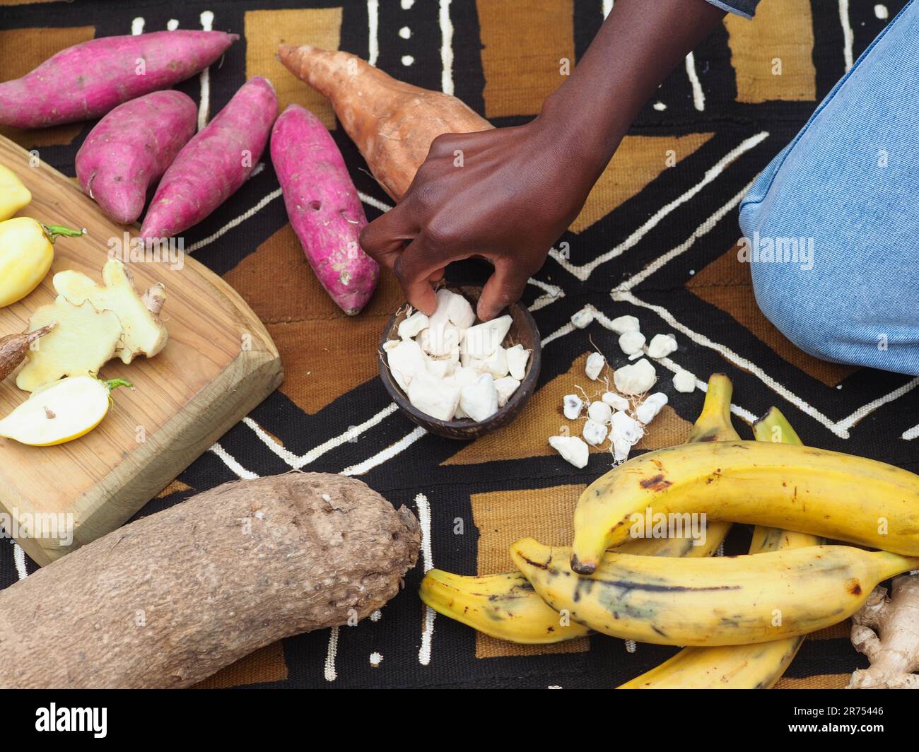Baobab fruit adansonia digitata Banque de photographies et d’images à ...