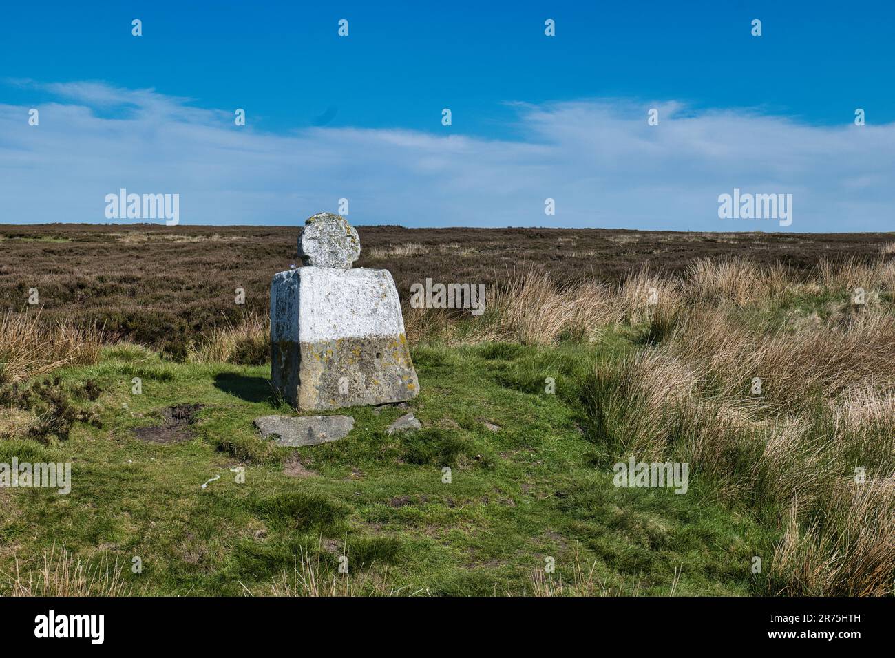 Fat betty Banque de photographies et d’images à haute résolution - Alamy