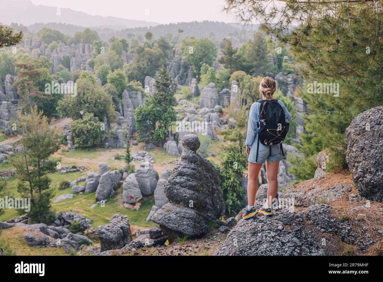 Bonne fille de voyageur se tenant au sommet de la falaise de roche avec ...