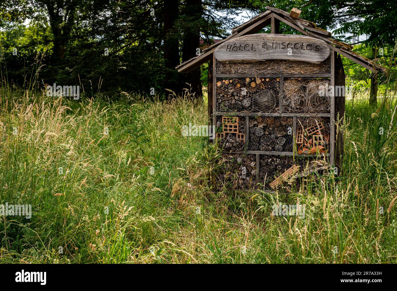Maison d'insectes dans le jardin. Un hôtel Bug en bois au parc avec des ...