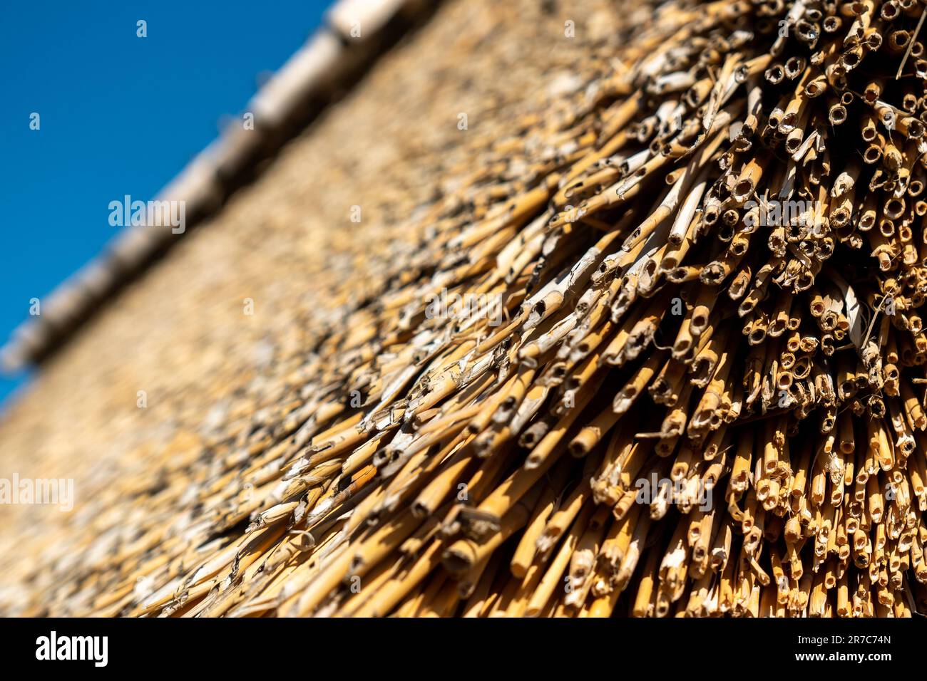 Cane roof Banque de photographies et d’images à haute résolution - Alamy