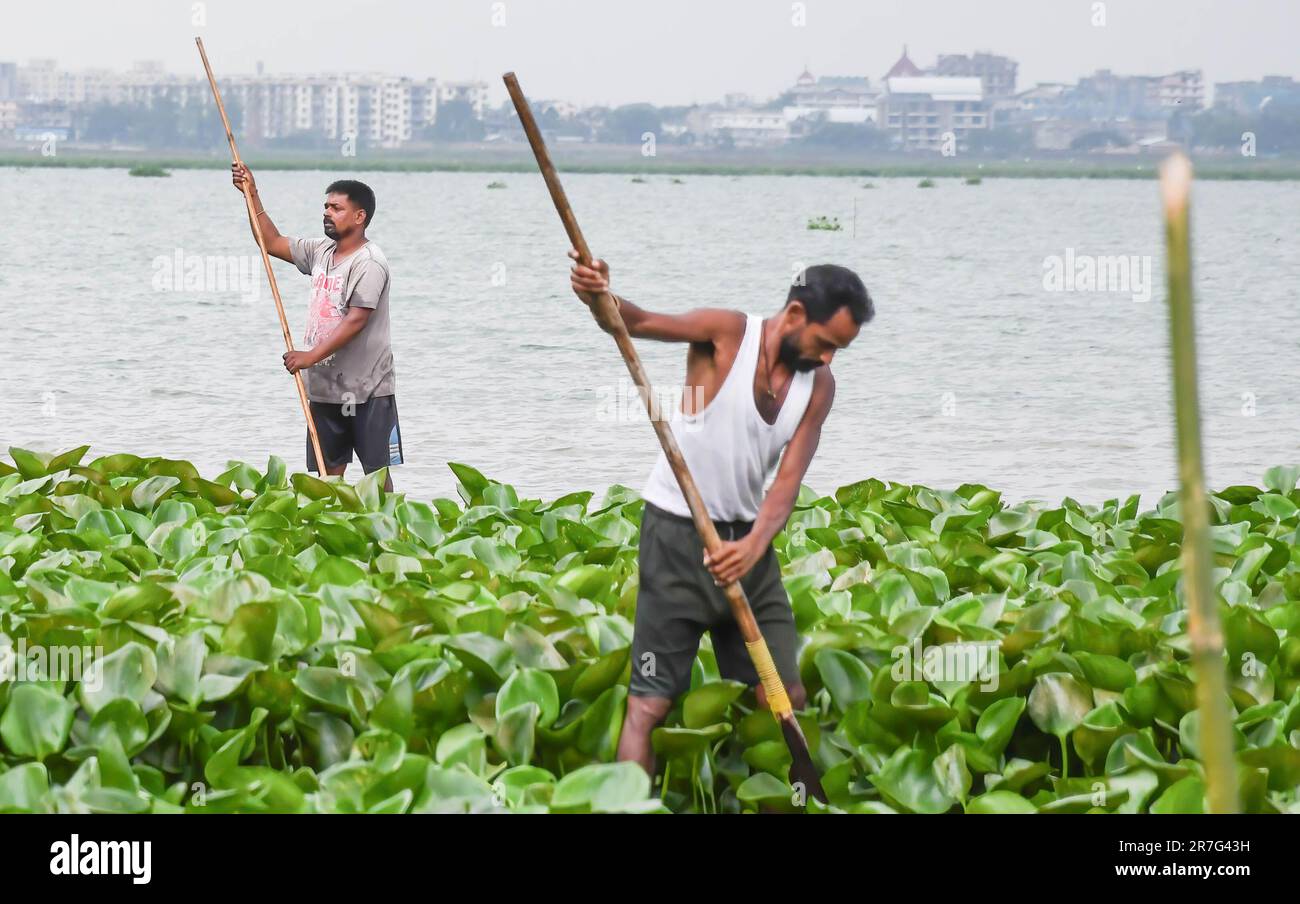 Dipor bil Banque de photographies et d’images à haute résolution - Alamy