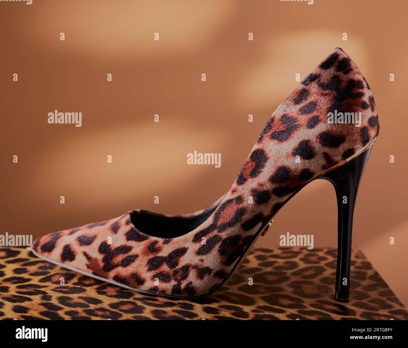 Chaussures à talons hauts Banque de photographies et d’images à haute ...