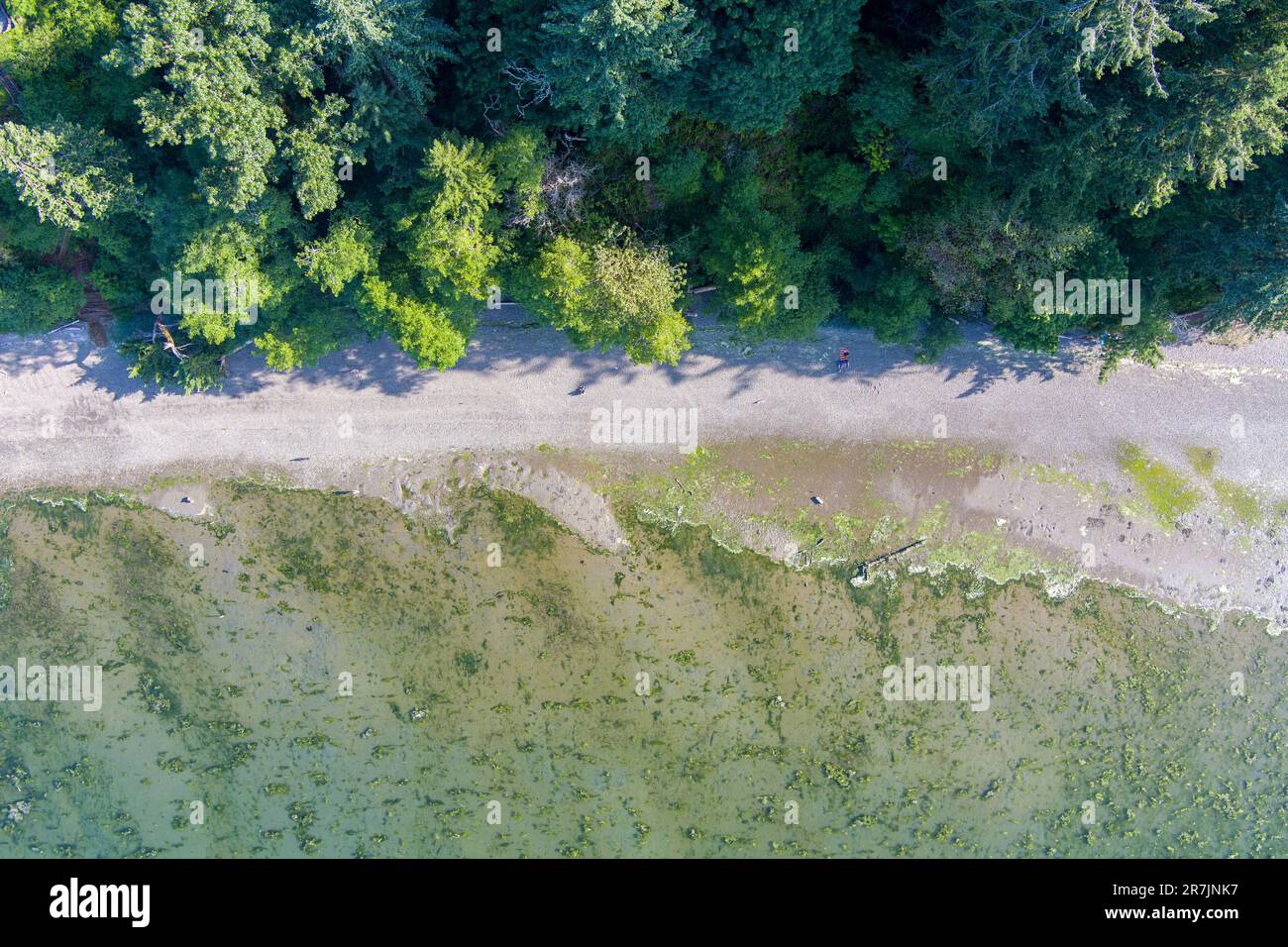 Tolmie state park Banque de photographies et d’images à haute ...