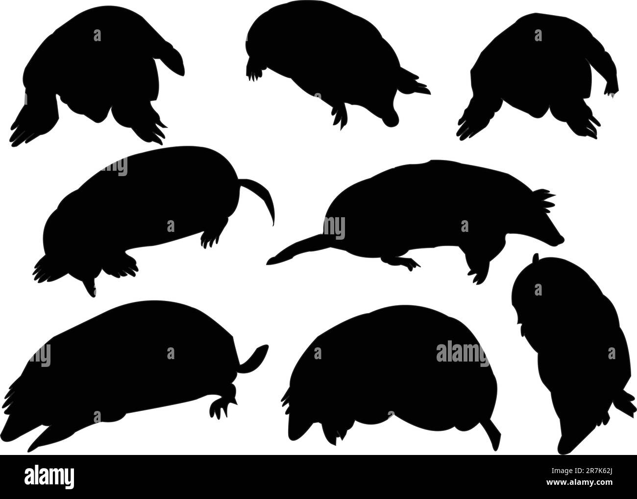 Cartoon mole Banque d'images noir et blanc - Alamy