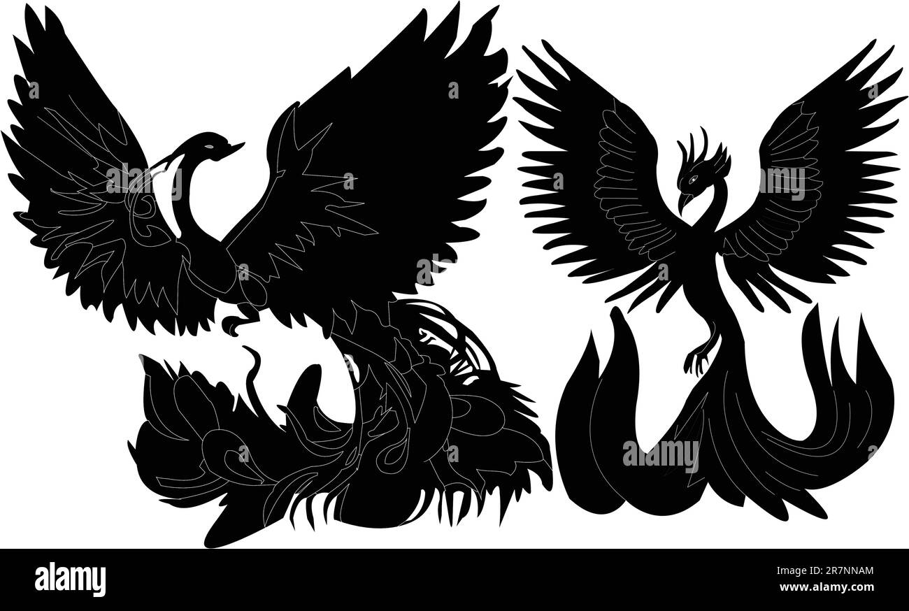 Phoenix oiseau Banque d'images noir et blanc - Alamy