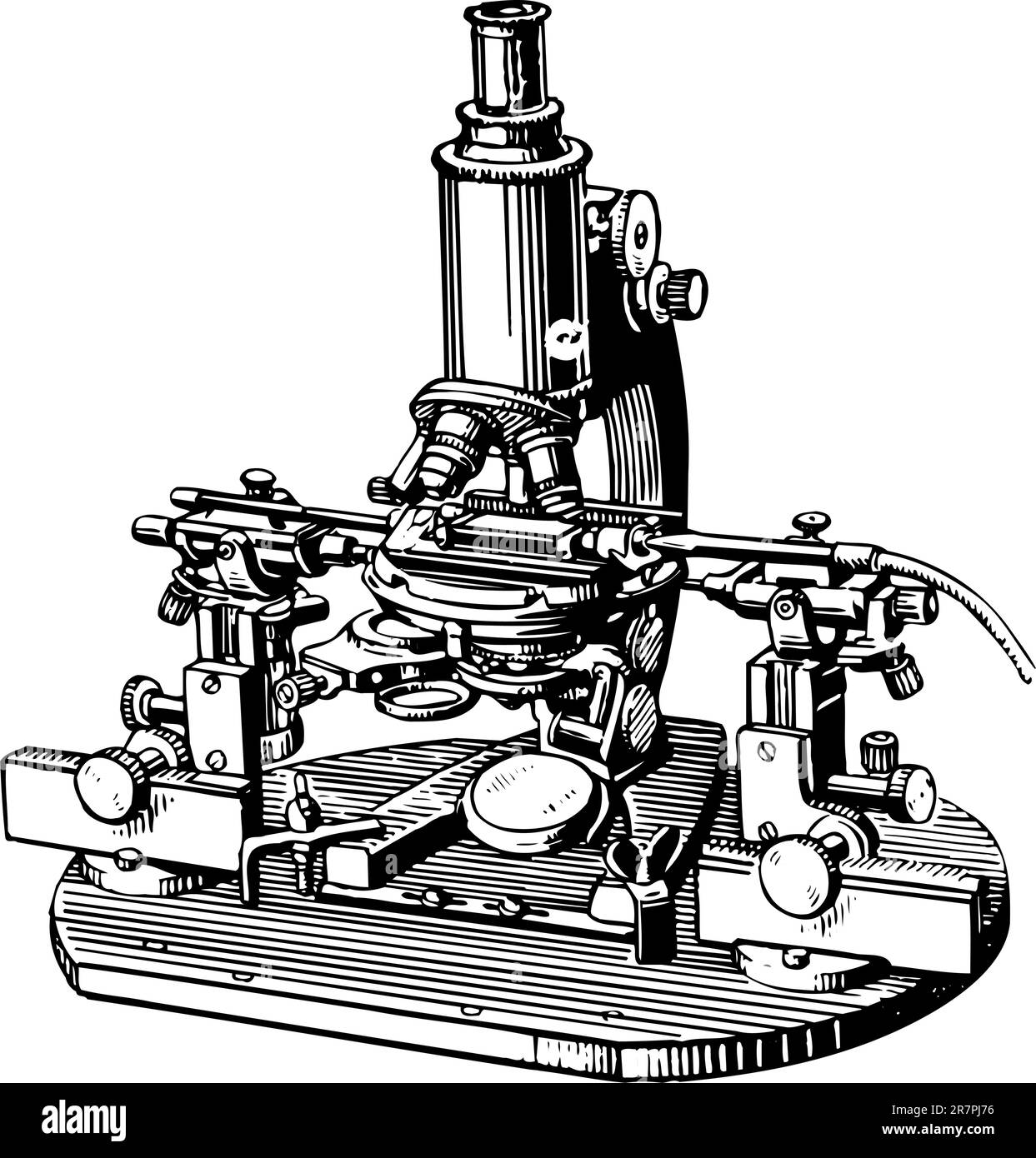 Image de microscope optique Banque d'images noir et blanc - Alamy