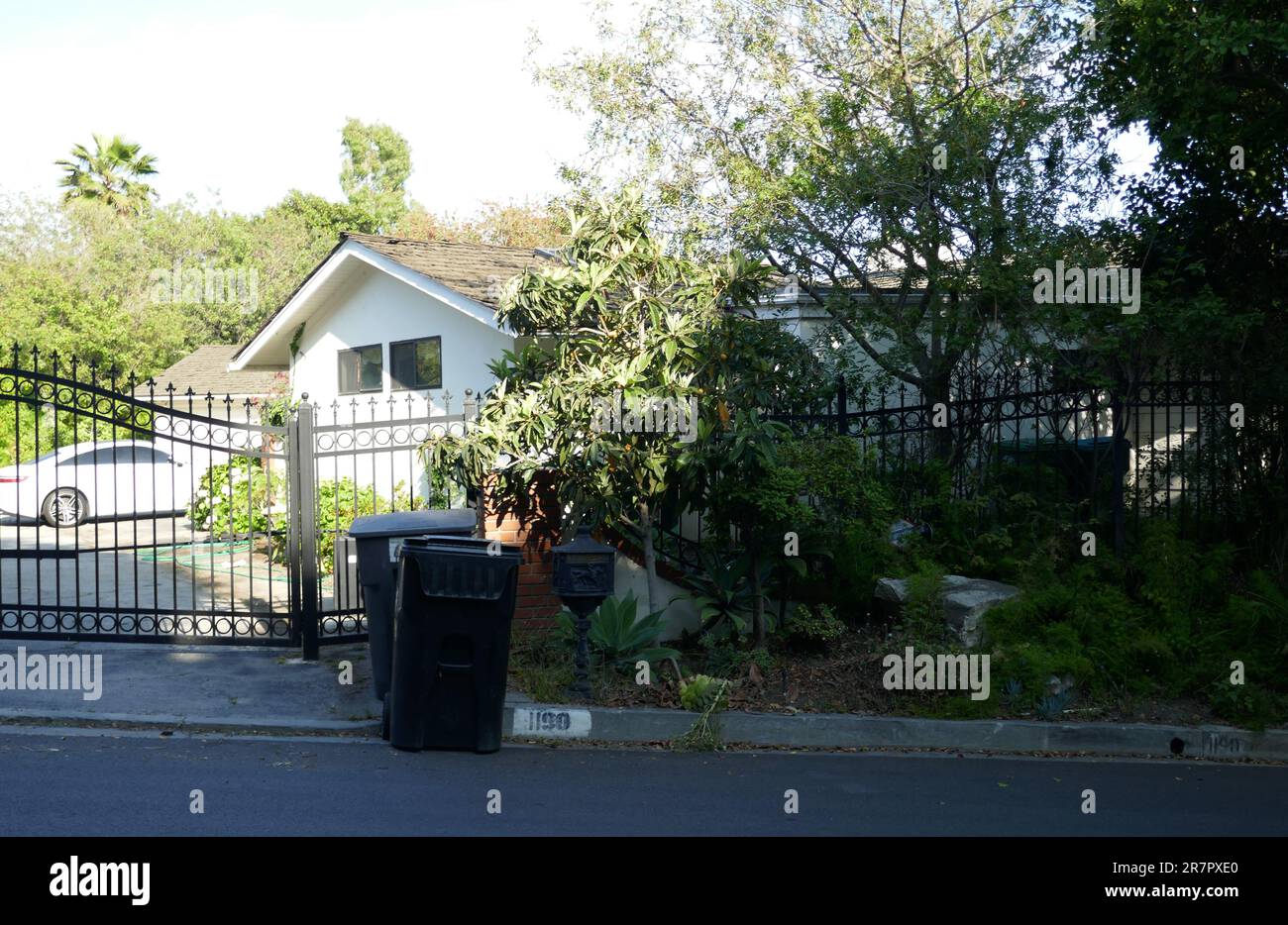 Pincus gauche Banque de photographies et d’images à haute résolution ...