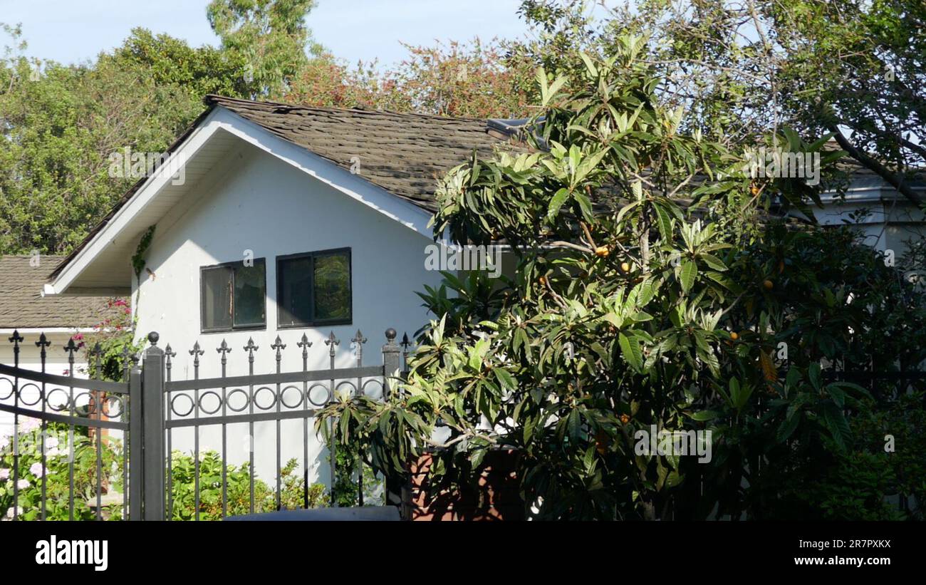 Pincus gauche Banque de photographies et d’images à haute résolution ...