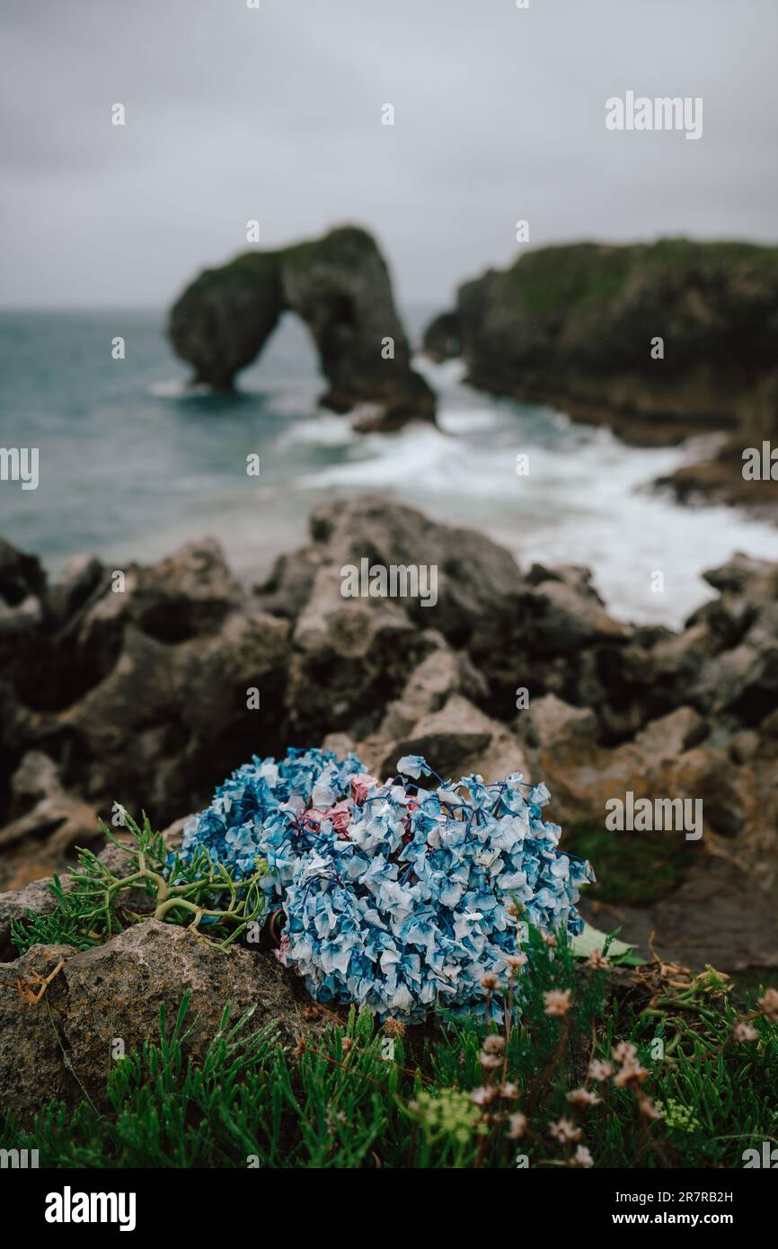 Au bord de la falaise, l'azur se blooms : une falaise pittoresque ...