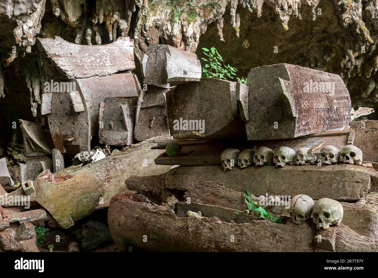 La spectaculaire tombe de la grotte de Lombok Parinding qui abrite les ...