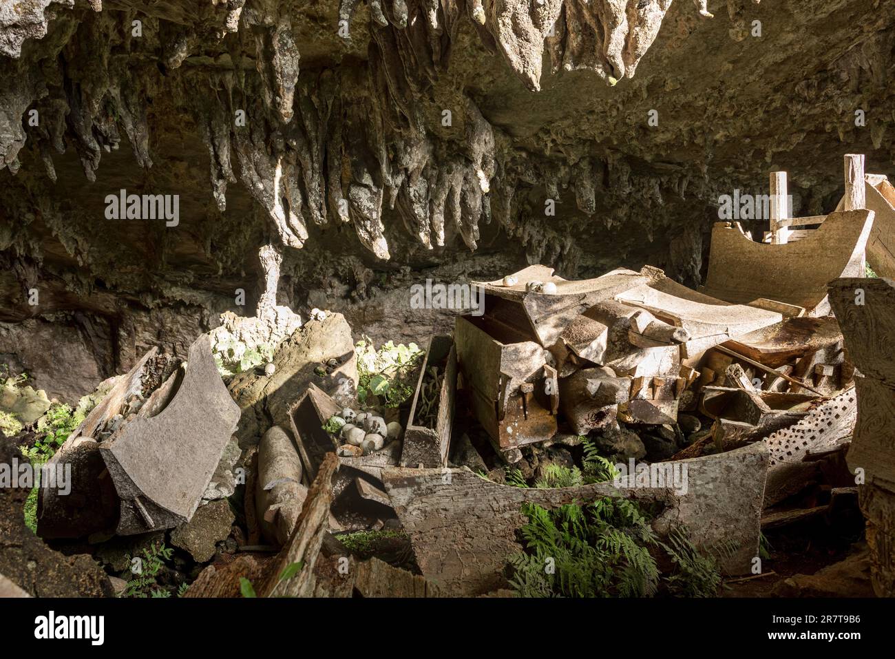 La spectaculaire tombe de la grotte de Lombok Parinding qui abrite les ...