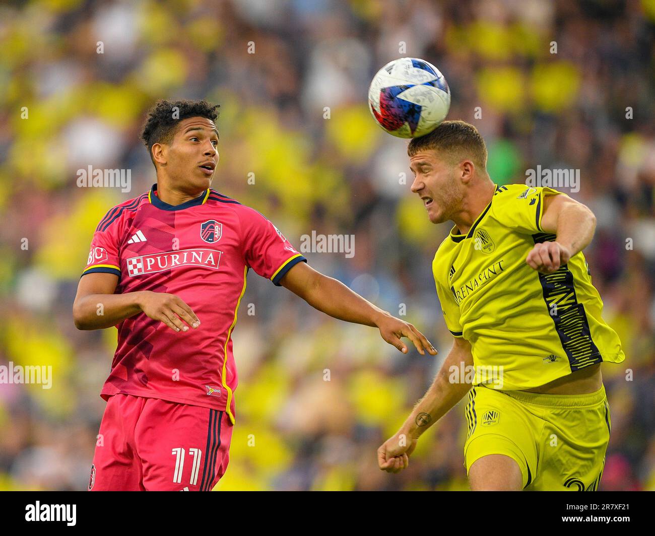 Nicolas bauer Banque de photographies et d’images à haute résolution ...