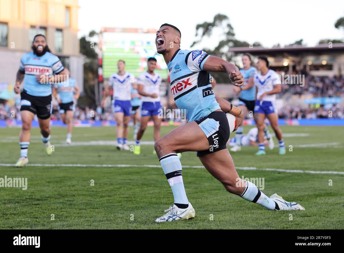 Sydney, Australie. 18th juin 2023. Ronaldo Mulitalo des requins célèbre ...
