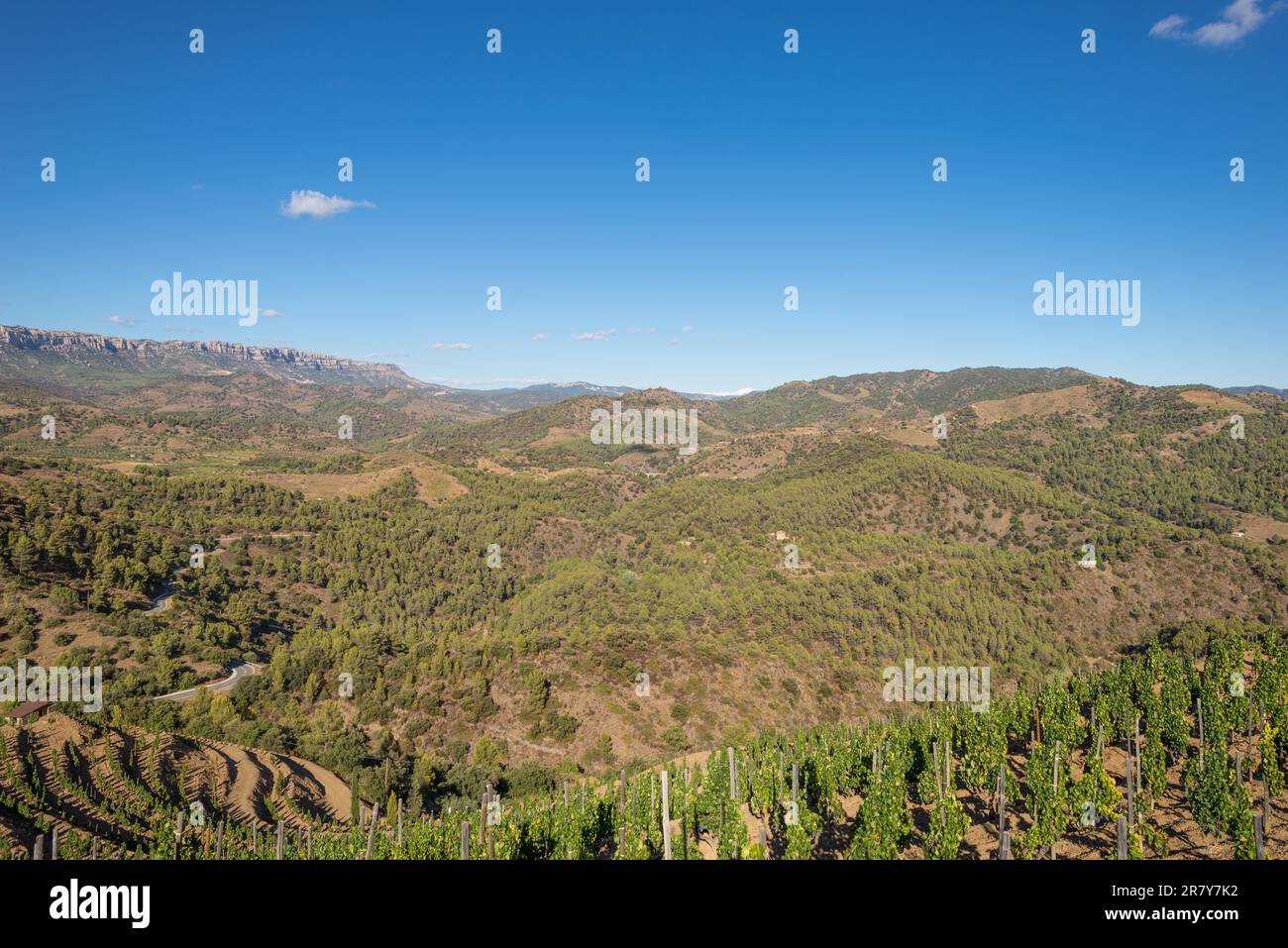 Le Comarca Priorat est une célèbre région viticole où le prestigieux ...