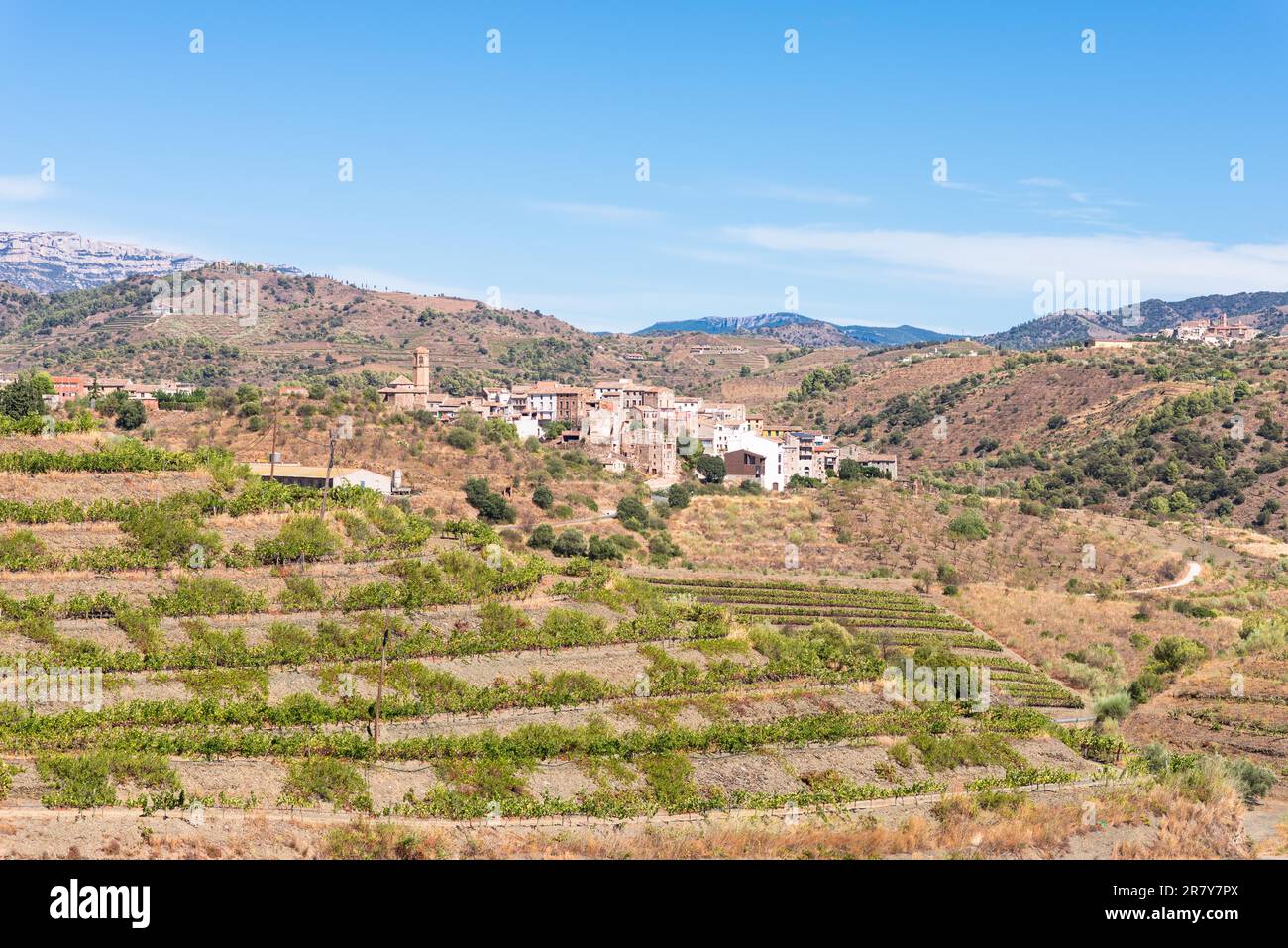 Vignoble dans le village d'El Lloar, dans la Comarca Priorat, une ...