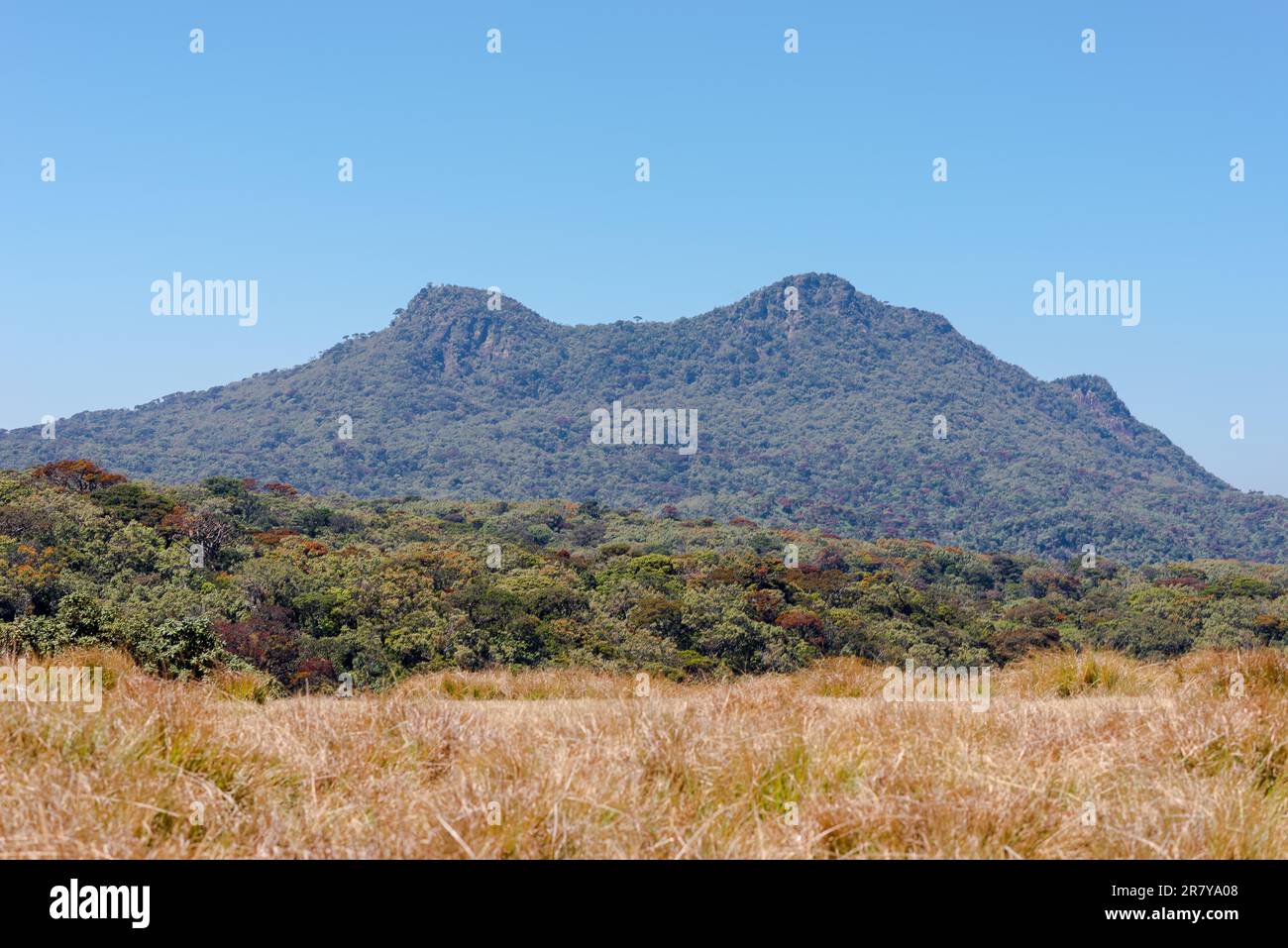 Au-dessus du parc national des plaines de Horton, une zone protégée ...