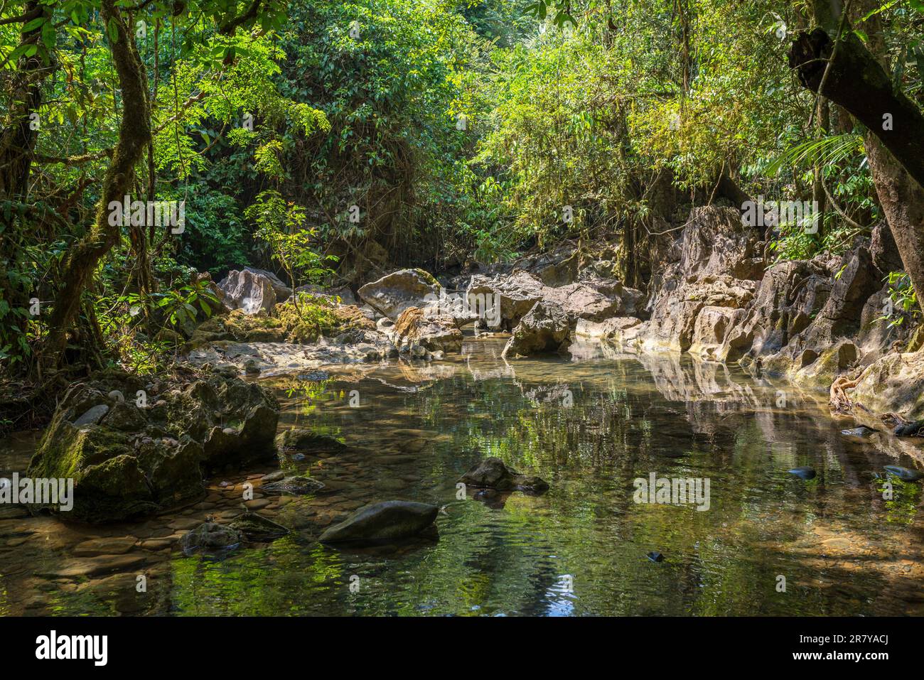 Traversée du lit de ruisseau sur le chemin de la grotte Nam Talu dans ...