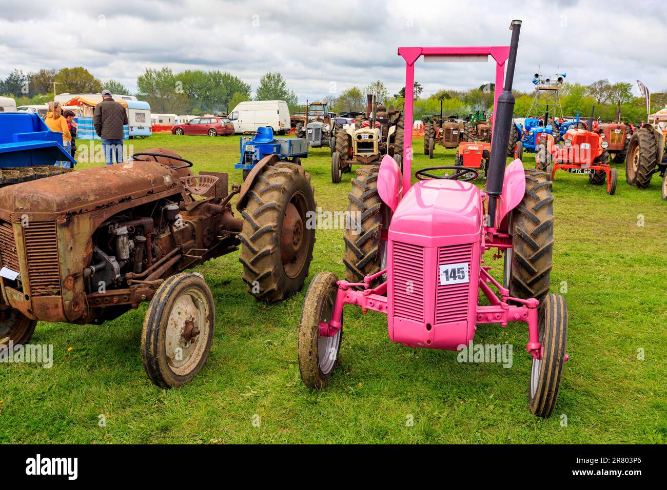 Un tracteur Massey Ferguson rose, non restauré et très restauré, exposé ...