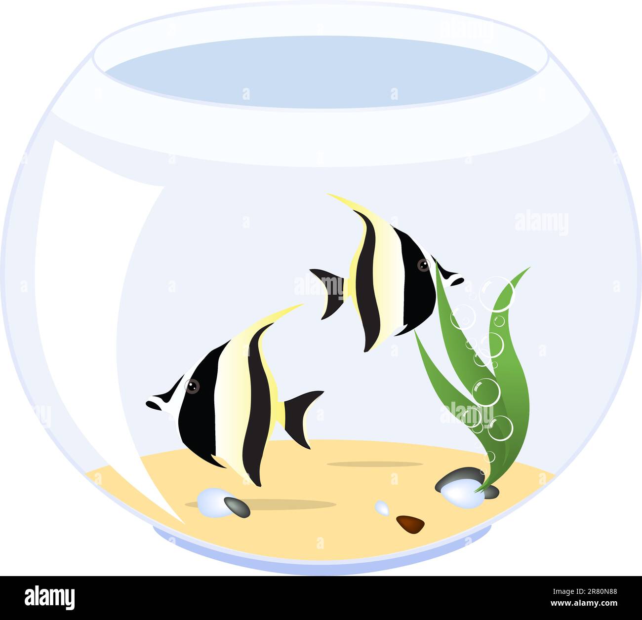 Deux poissons dans un aquarium isolé sur un fond blanc. Illustration ...