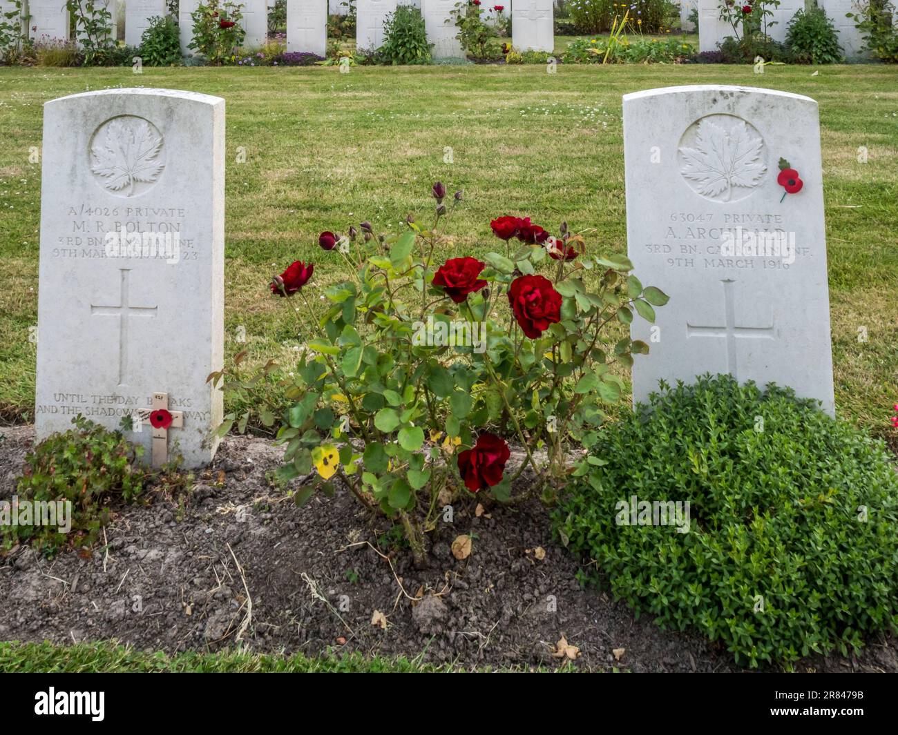L'image représente les tombes de Maurice Richard Bolton et Arthur ...