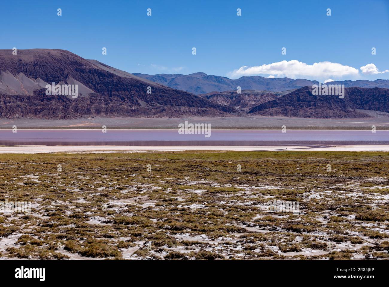 Volcan carachi pampa Banque de photographies et d’images à haute ...