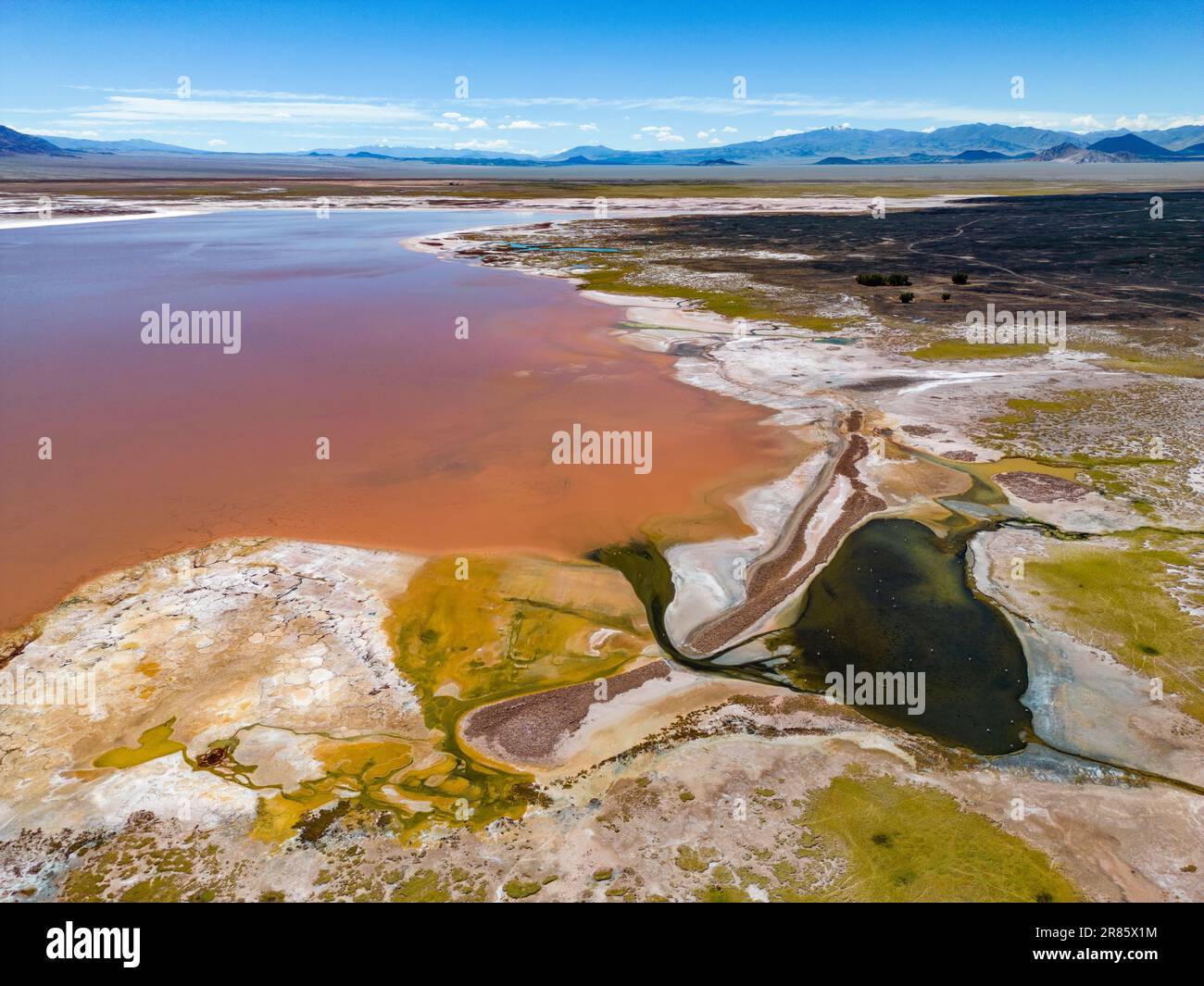 Argentine : Puna - vue aérienne de la lagune colorée Carachi Pampa, un ...