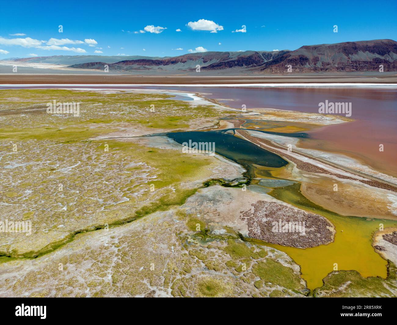 Argentine : Puna - vue aérienne de la lagune colorée Carachi Pampa, un ...