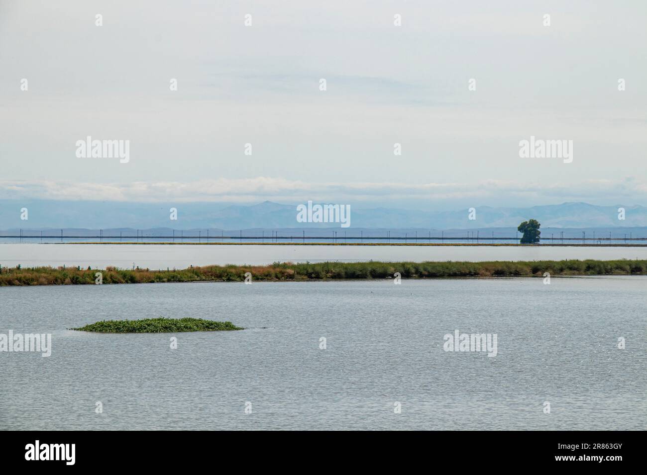 Le lac Tulare, situé dans la vallée centrale de la Californie, a été ...
