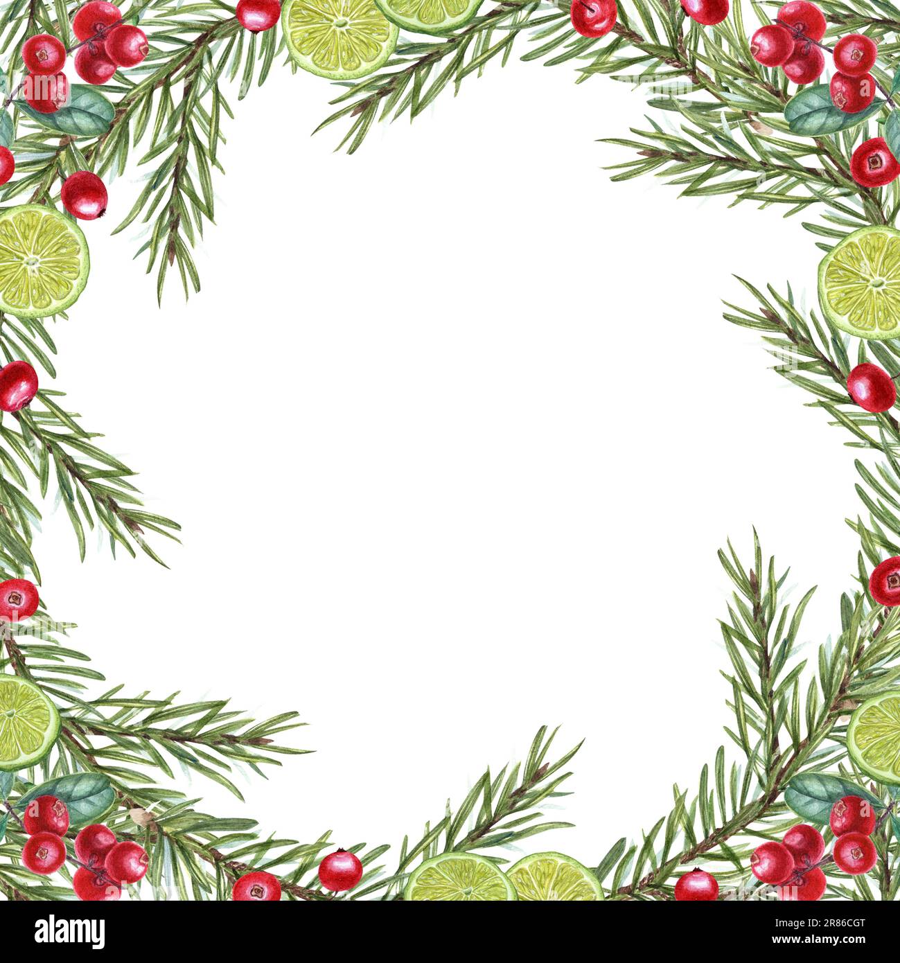 Cadre de Noël de branche de sapin, tranches de lime, canneberge sur ...