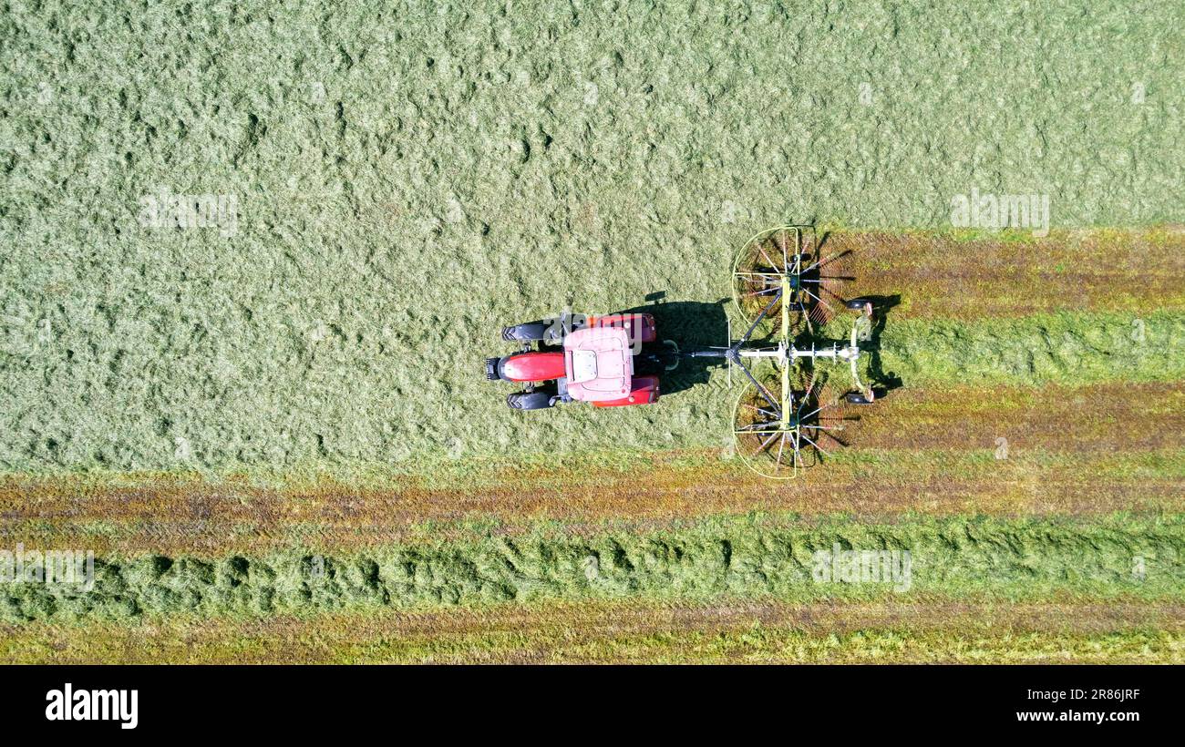 Première récolte d'ensilage sur une ferme laitière au début de l'été ...