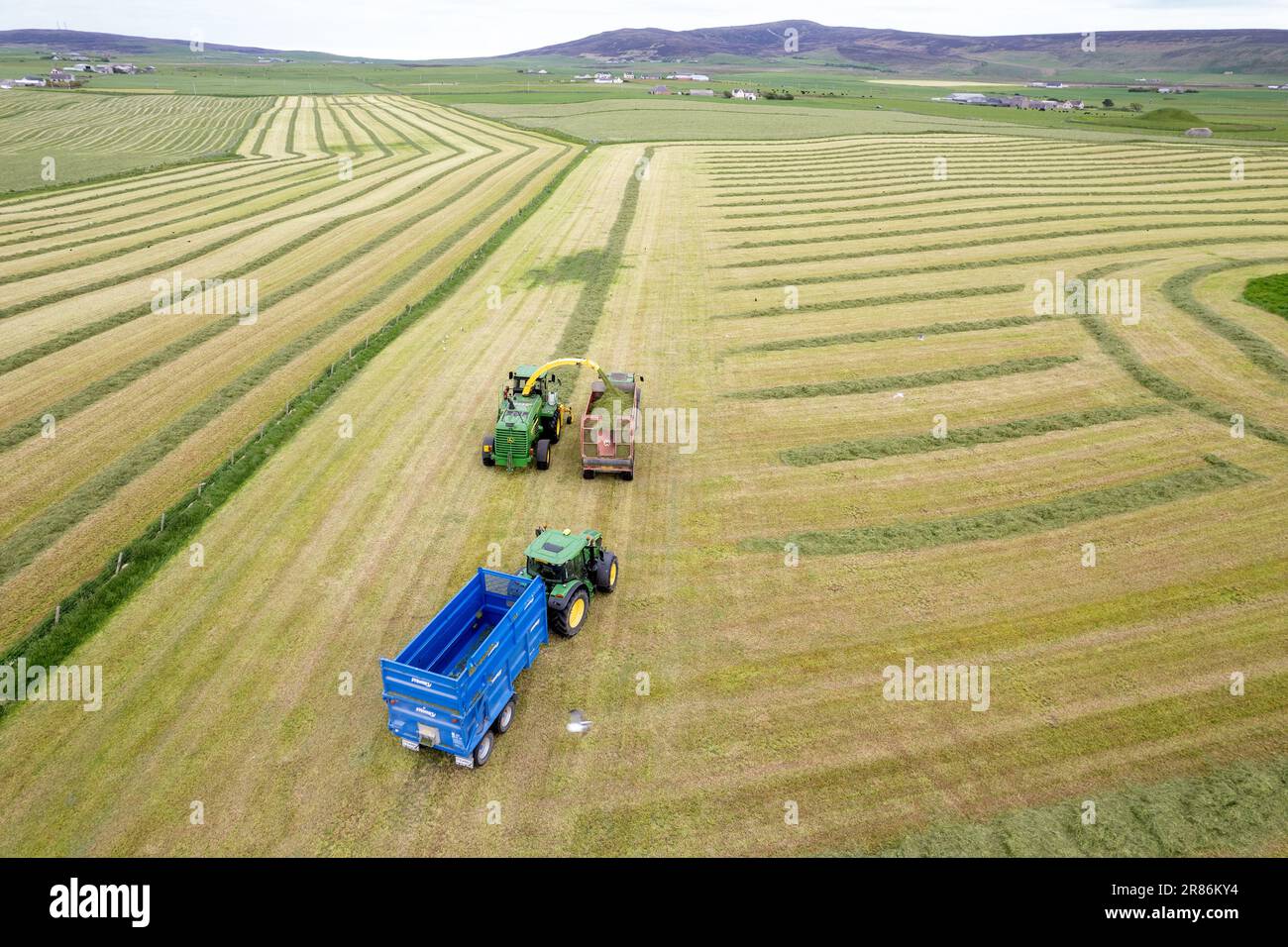 Fabrication d'ensilage dans une ferme laitière des Orkneys avec une ...