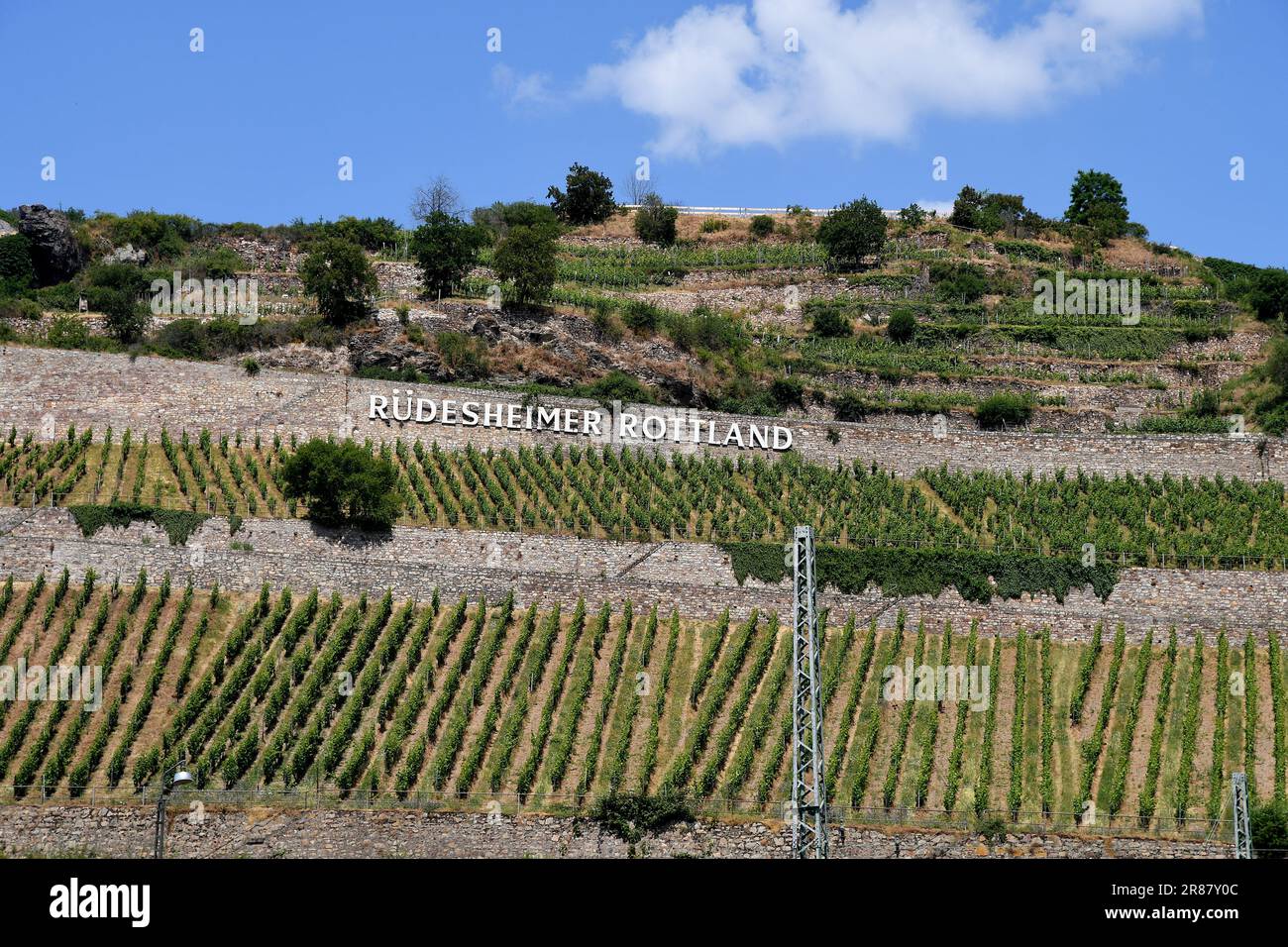 16 juin 2023/vue sur les champs de vin et les rivières rhein Rudesheim ...