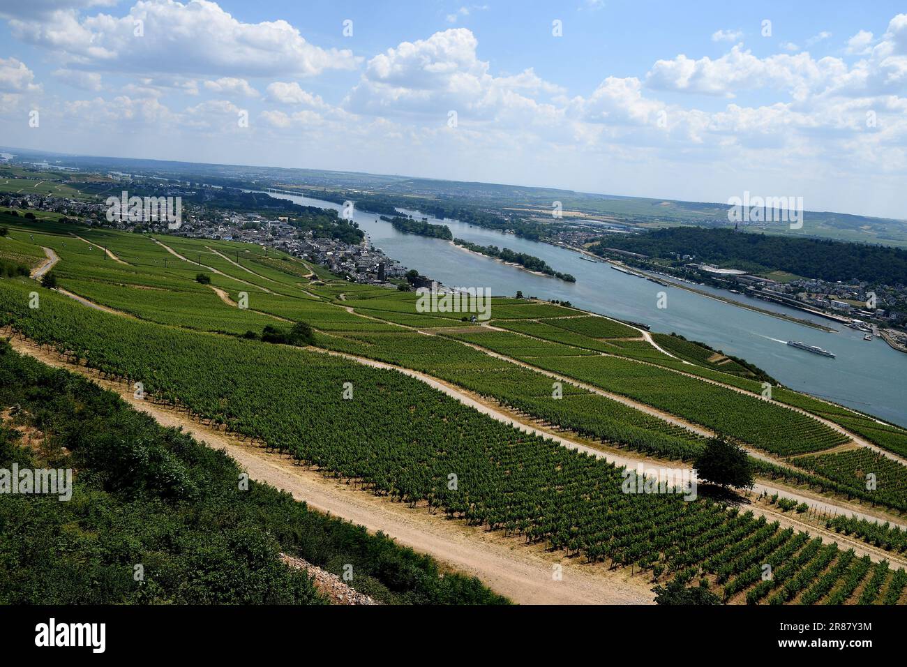 16 juin 2023/vue sur les champs de vin et les rivières rhein Rudesheim ...