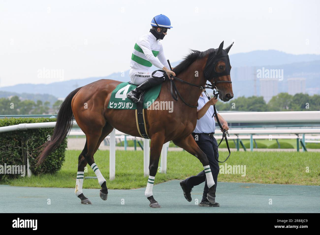 Hyogo, Japon. 18th juin 2023. 2023/06/18 HANSHIN 11R THE MERMAID STAKES ...