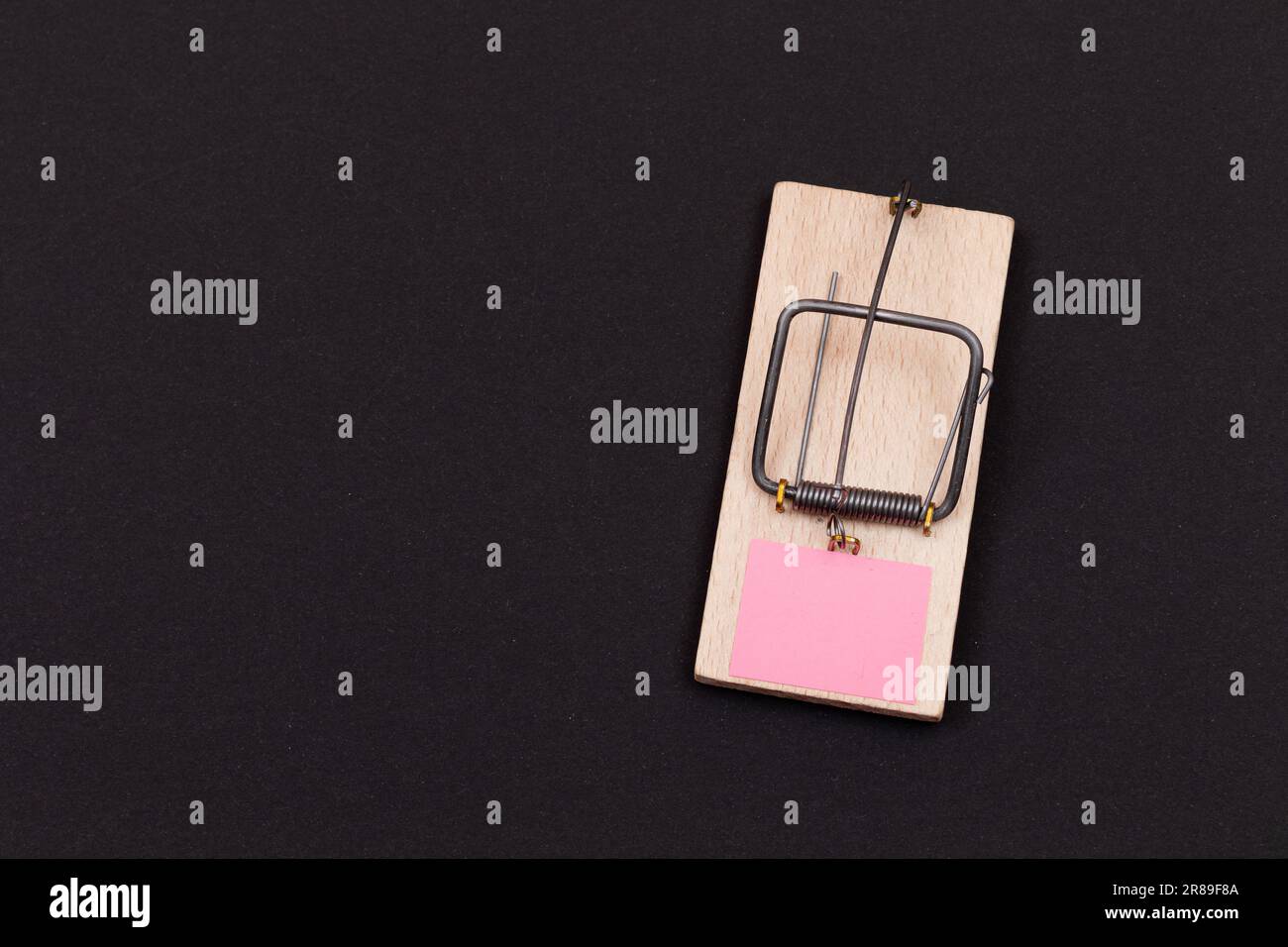 Feuille de papier vierge rose en bois Mousetrap - gabarit. Petit papier ...